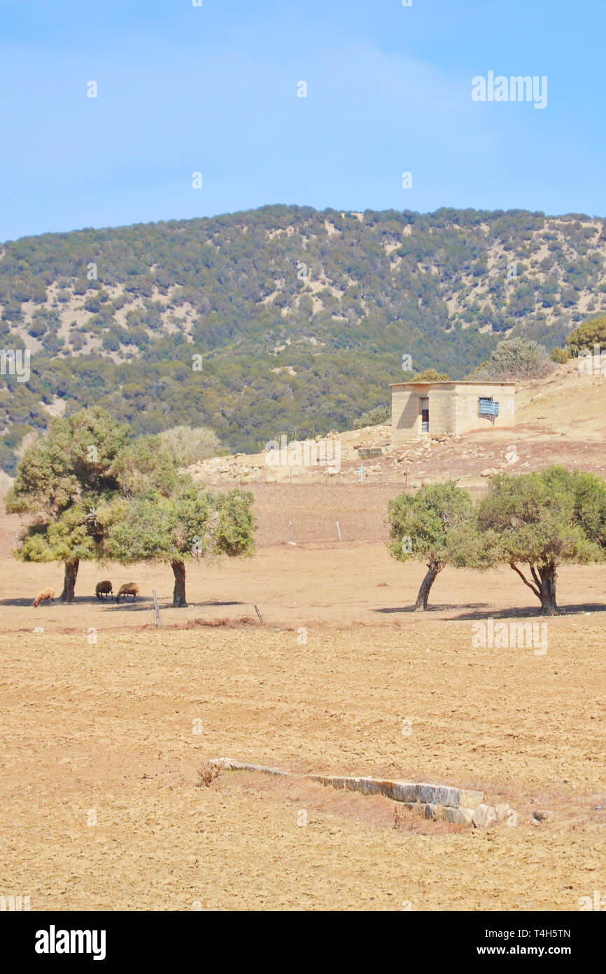 Photo of dry countryside landscape taken in Karpas Peninsula, Northern ...