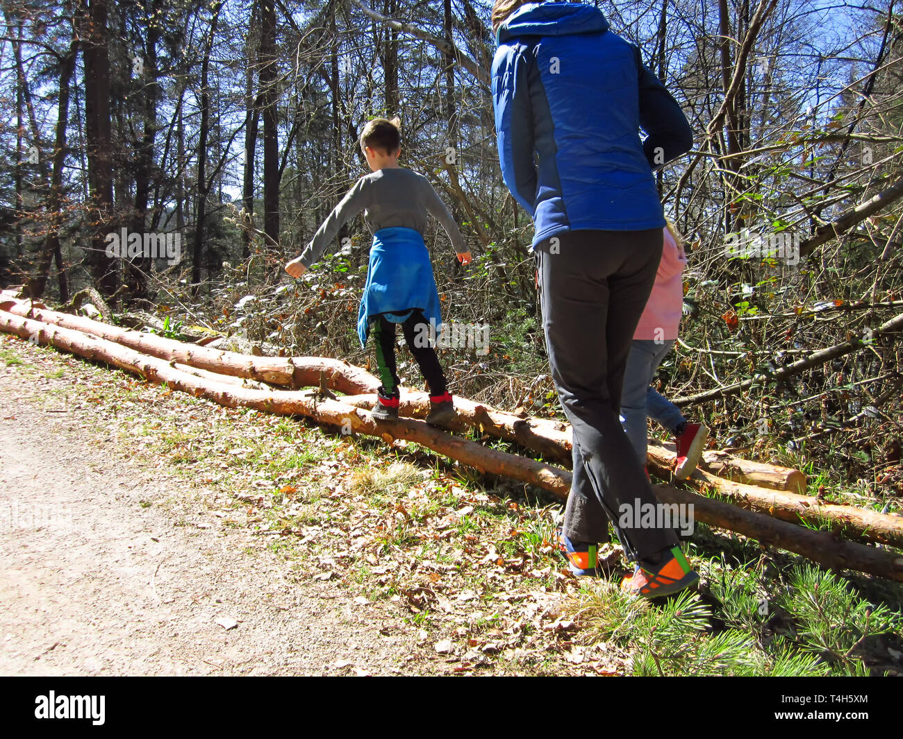 Kids walking on tree trunks stimulates motor development and balance ...