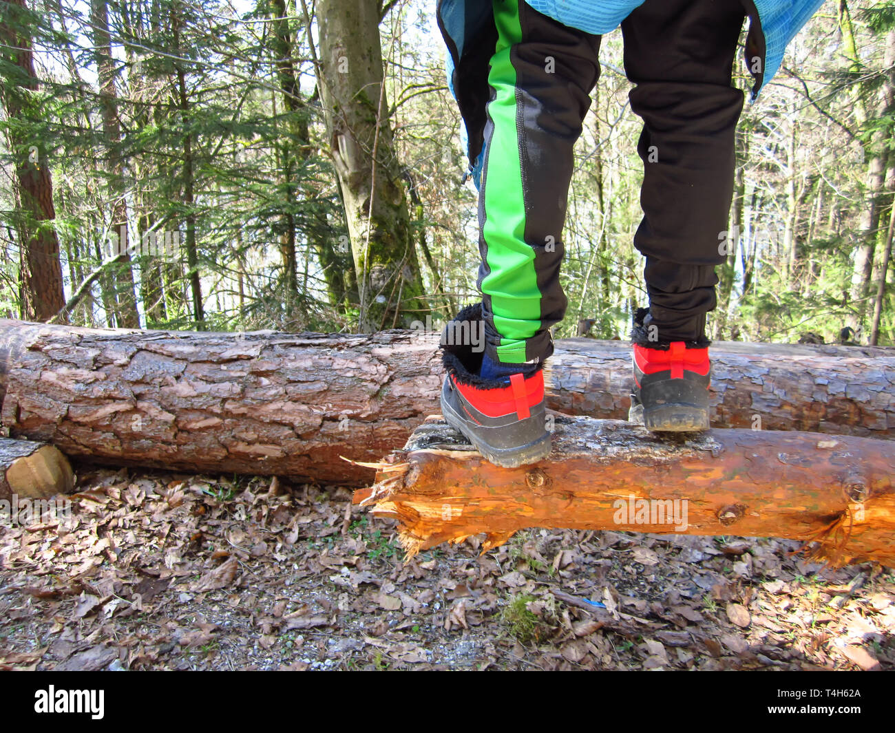 Boy child walking on tree trunks stimulates motor development and ...