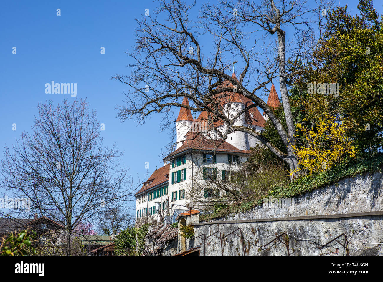 The castle of Thun at the very beginning of spring in the early morning ...