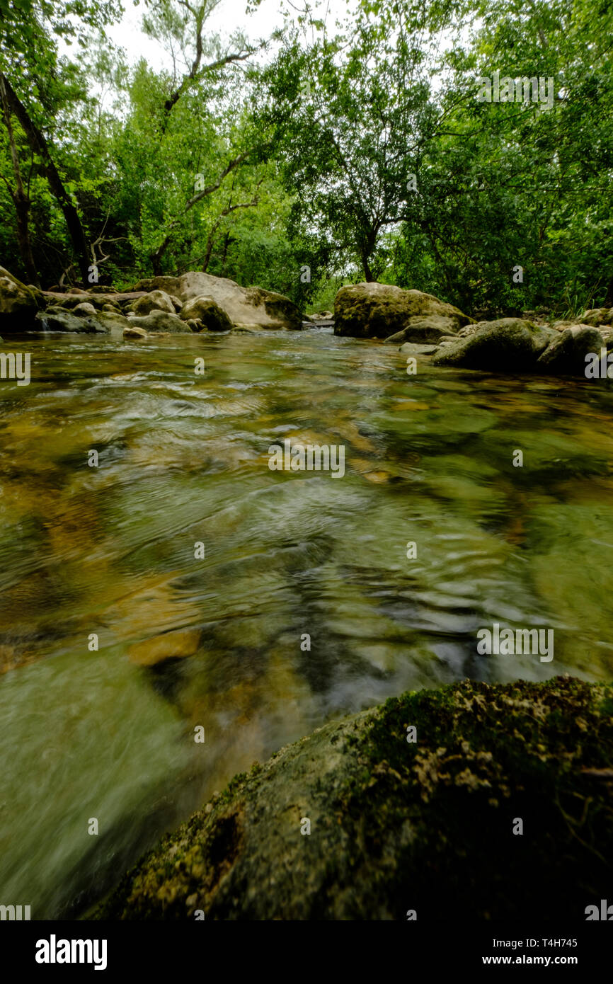 Barton creek greenbelt hi-res stock photography and images - Alamy