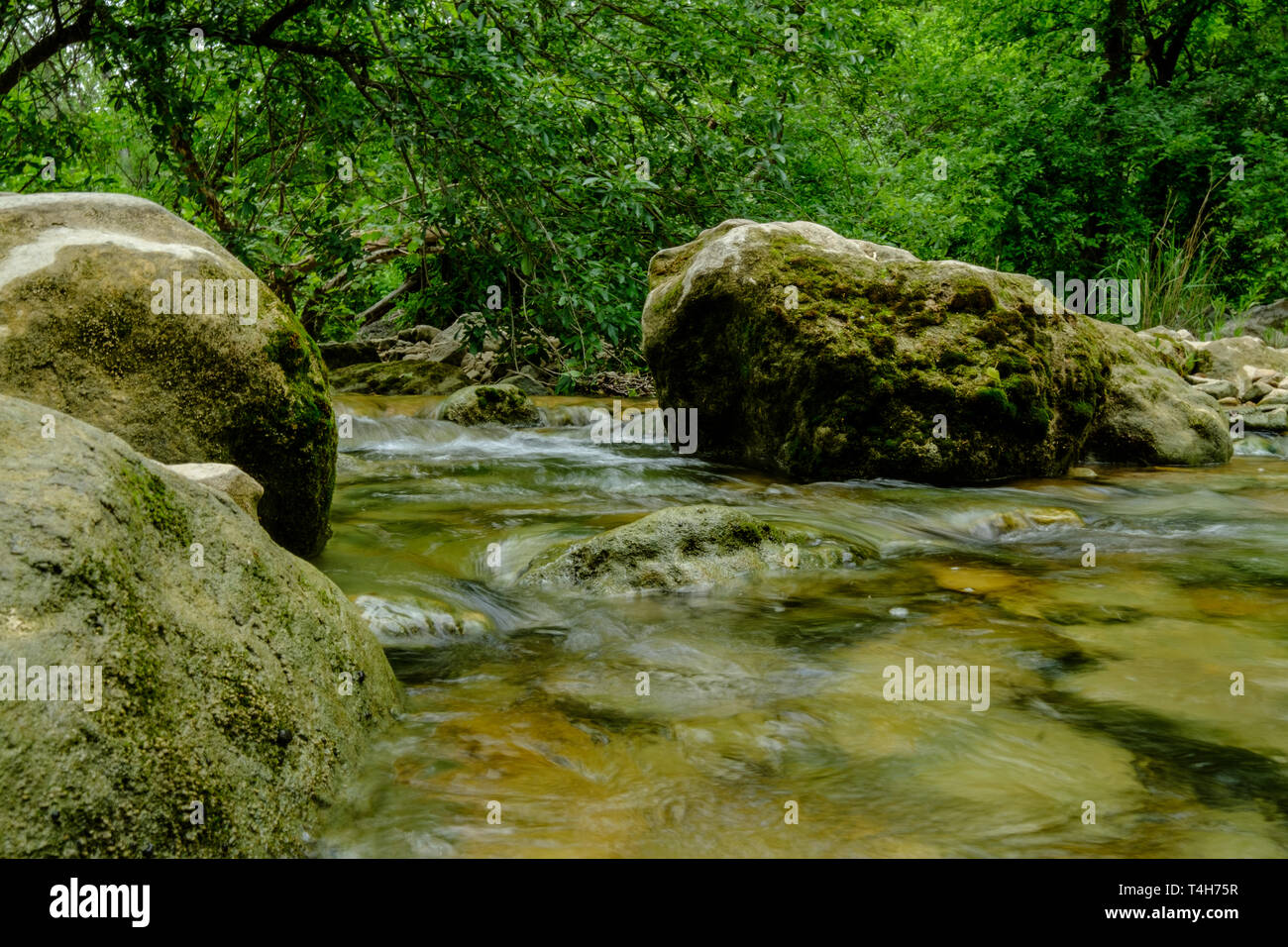 Barton creek greenbelt hi-res stock photography and images - Alamy