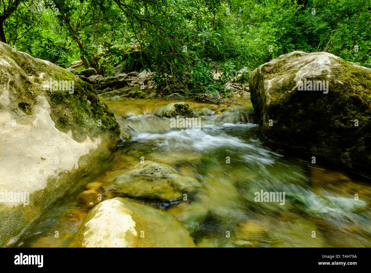 Barton creek hi-res stock photography and images - Alamy