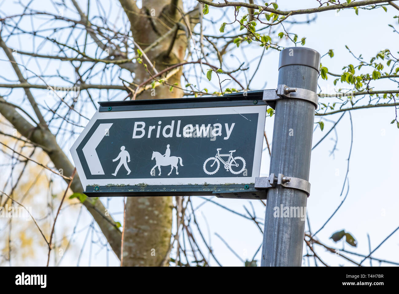 Close up of Highways public 'Bridleway' sign on post in rural ...