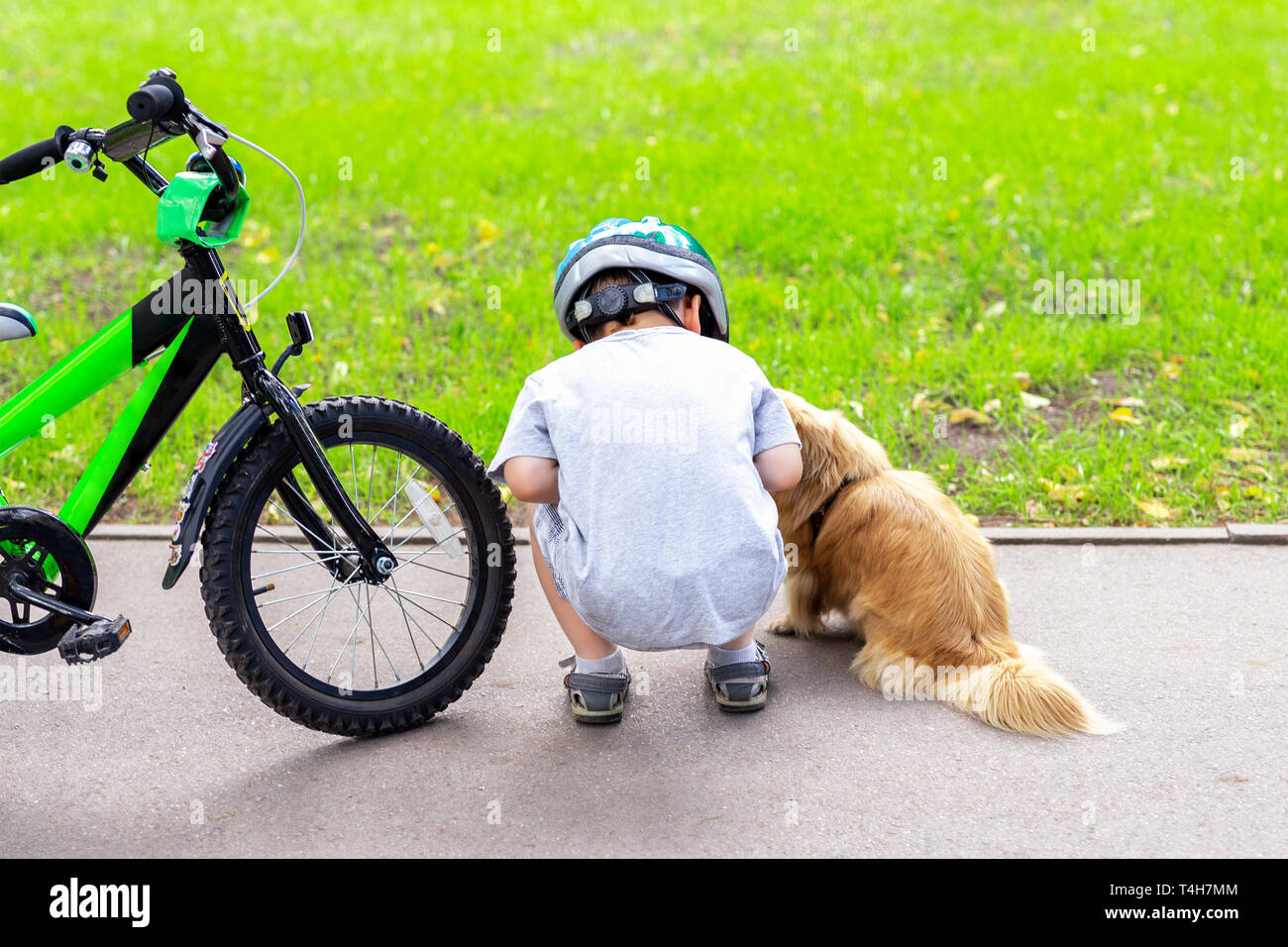 Kid riding bicycle in city park and stopped to meet cute little dog ...