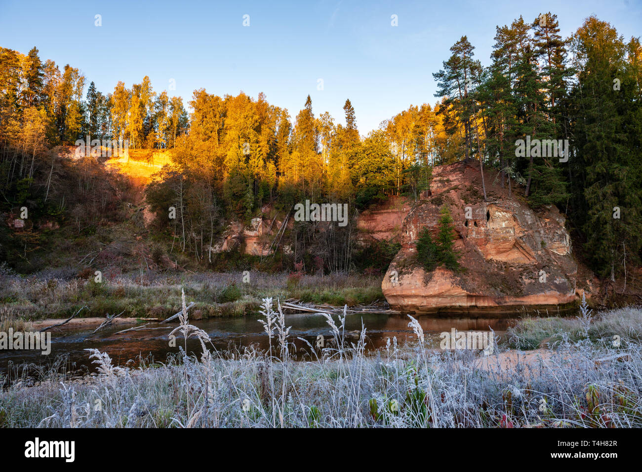 beautiful golden sunrise over forest river with sandstone cliffs on the ...