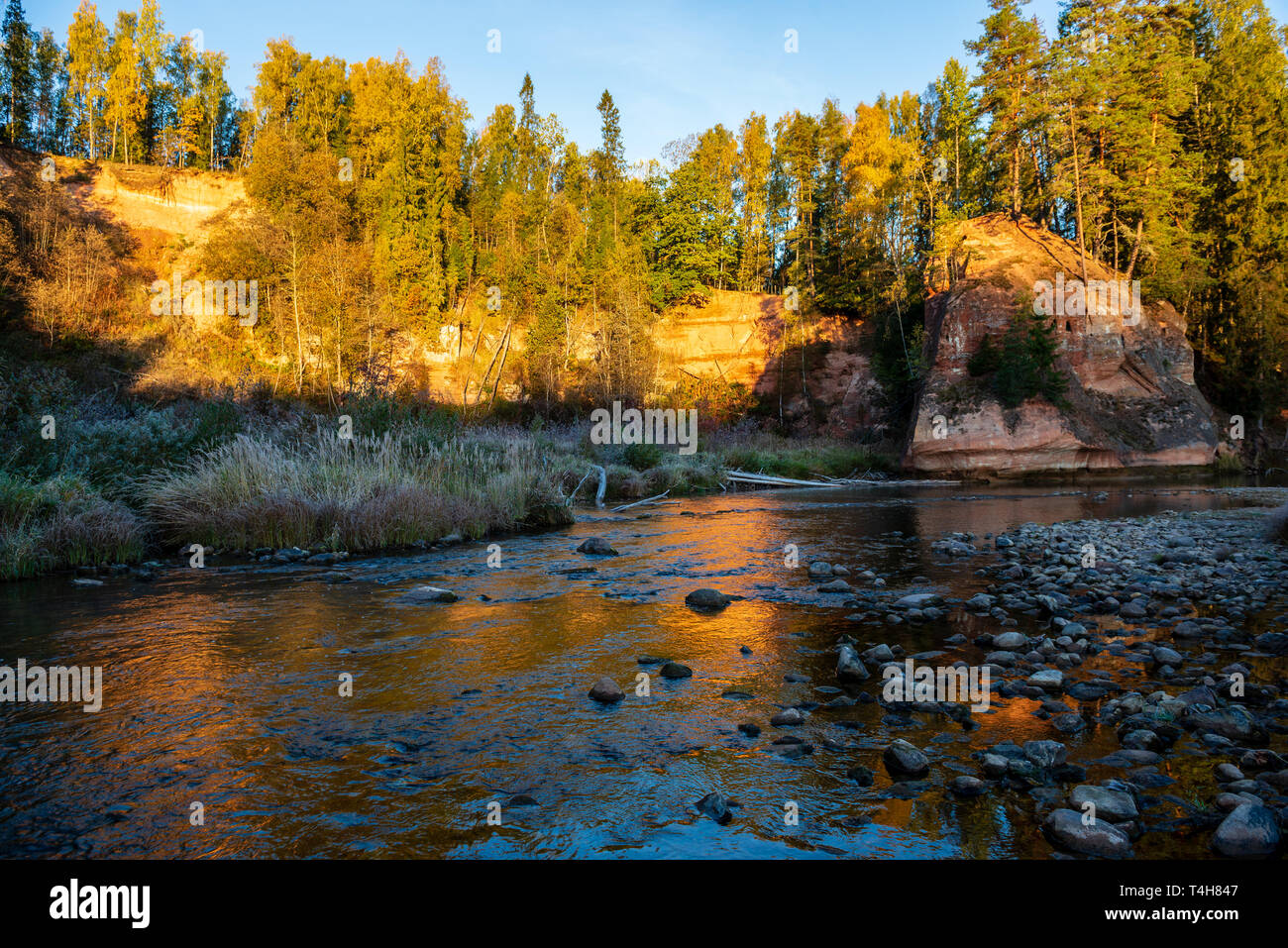 beautiful golden sunrise over forest river with sandstone cliffs on the ...