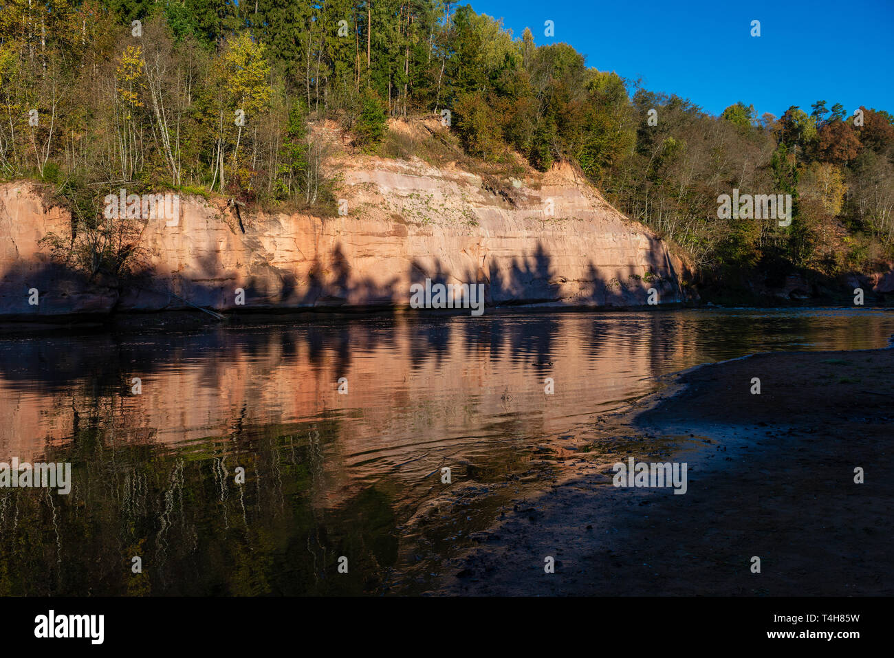 beautiful golden sunrise over forest river with sandstone cliffs on the ...