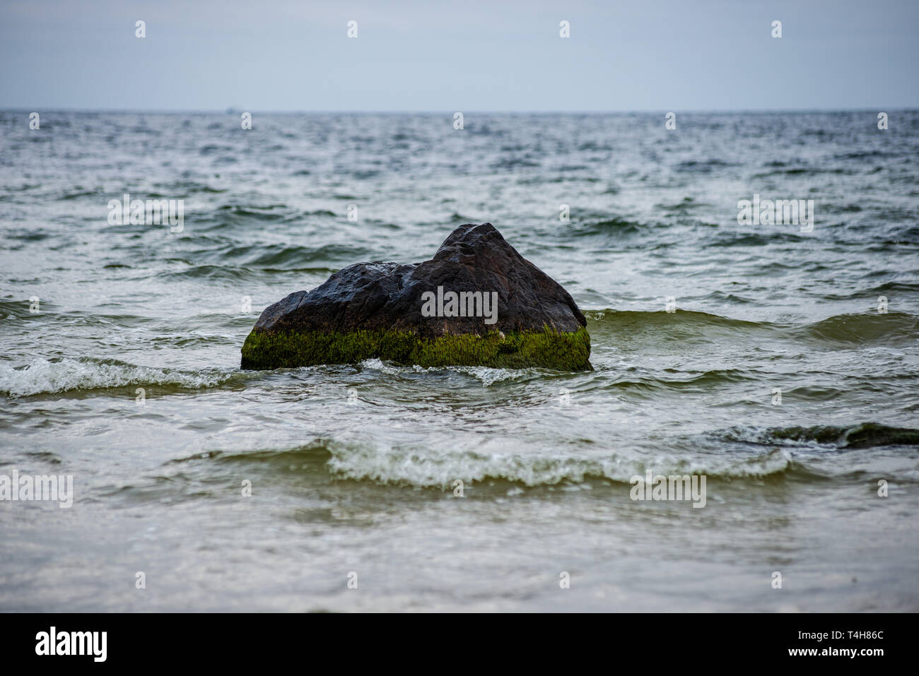 stormy sea beach with large rocks in the wet sand. Baltic sea Stock ...