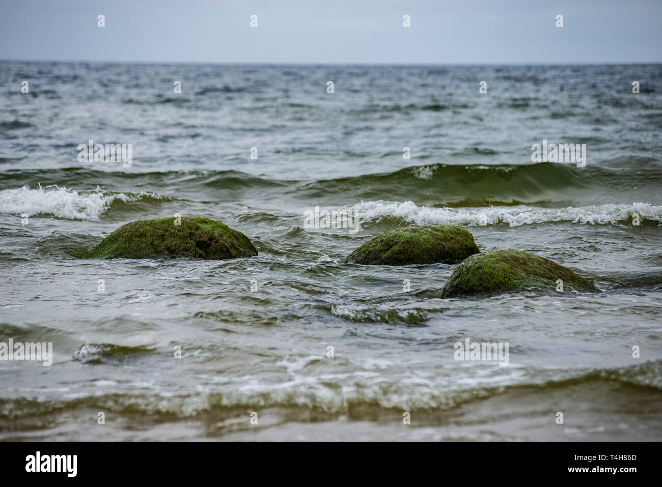 stormy sea beach with large rocks in the wet sand. Baltic sea Stock ...