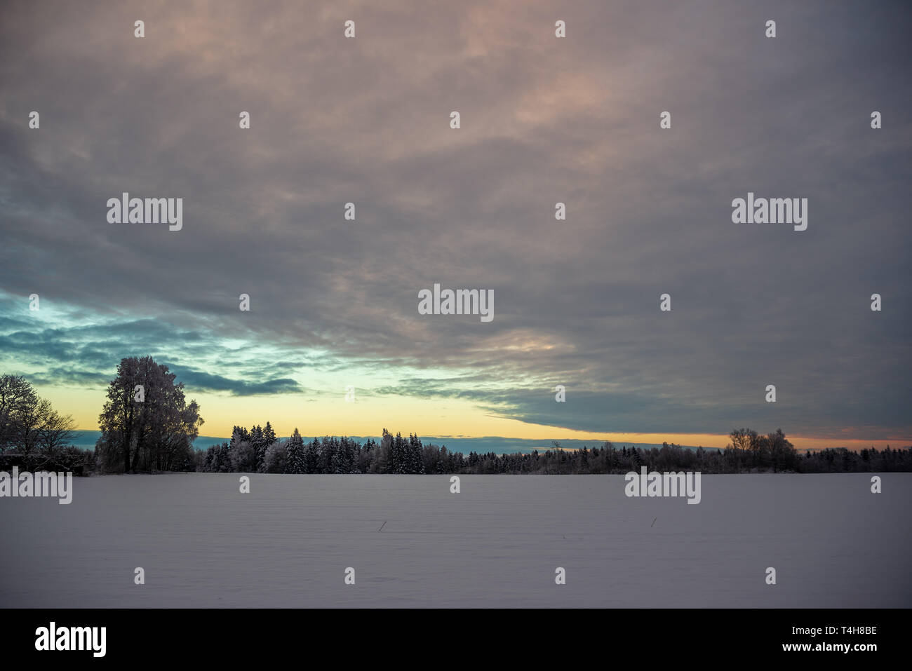 colorful sunset light over fields of snow in winter in countryside ...