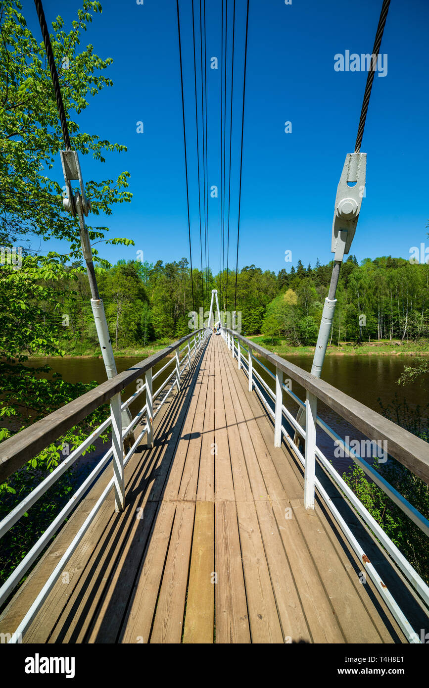 foot bridge over forest river in summer in green foliage Stock Photo ...