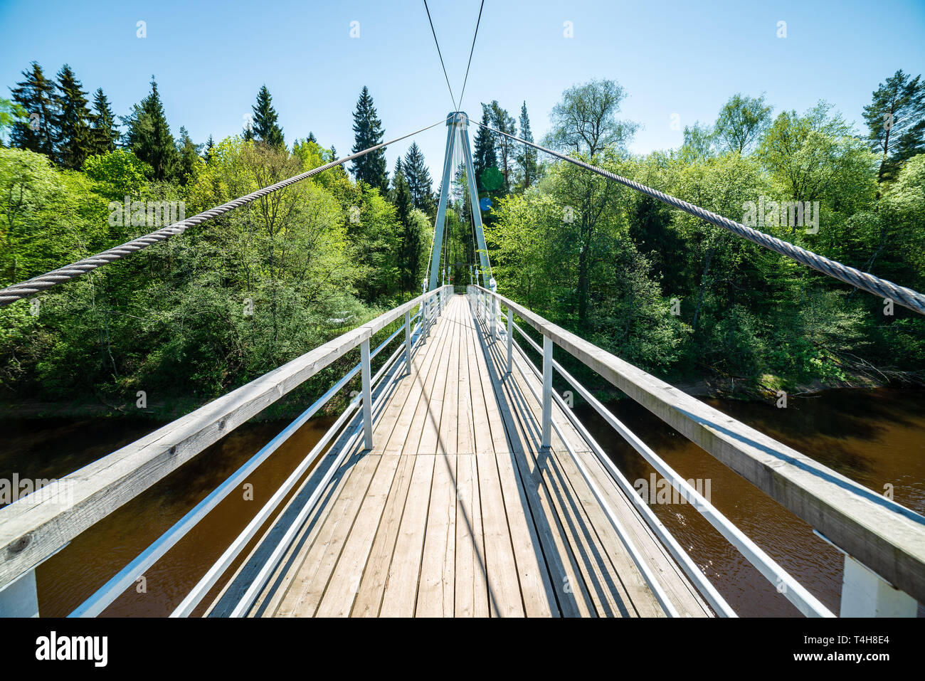 foot bridge over forest river in summer in green foliage Stock Photo ...