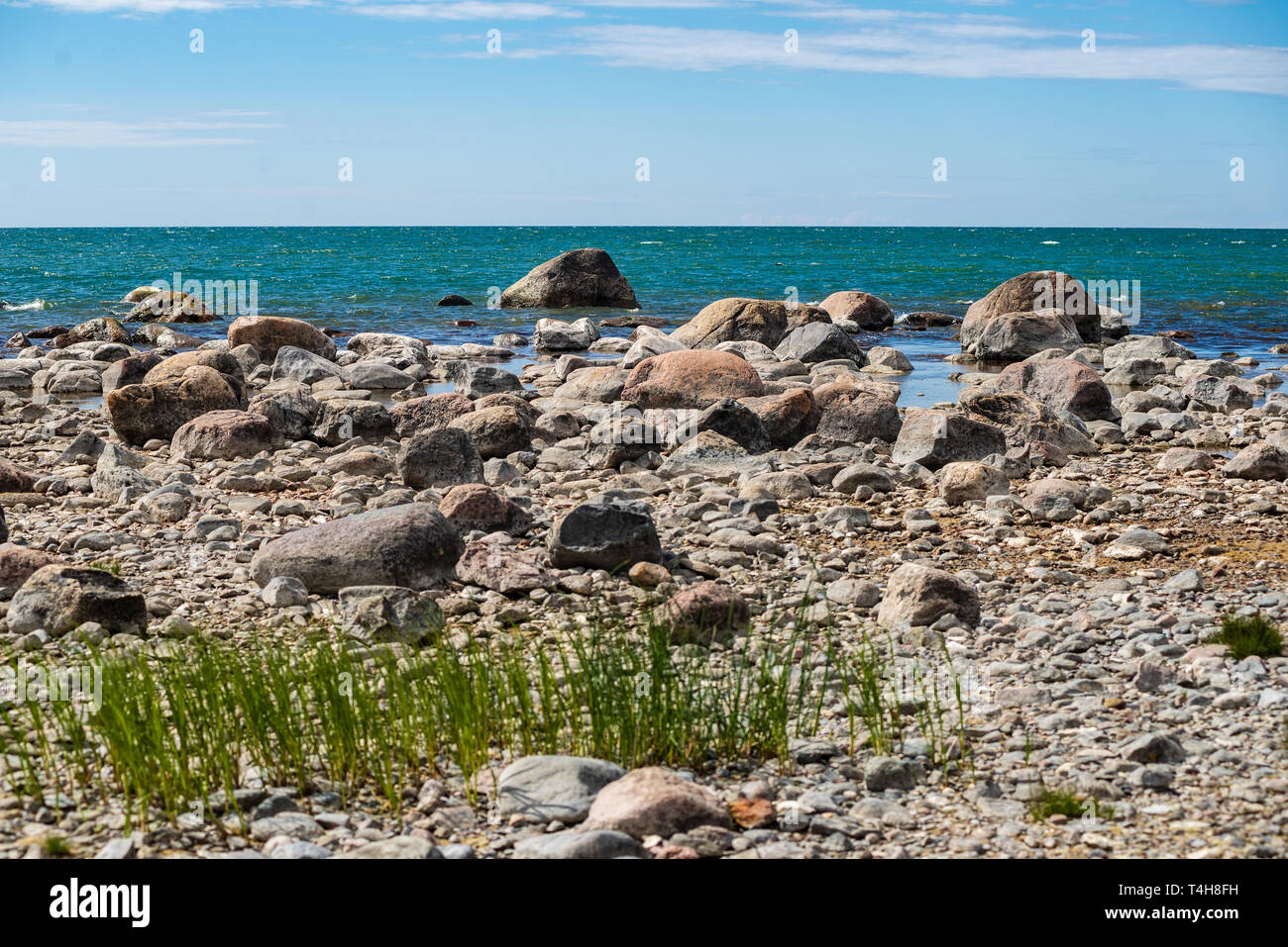 rocky beach in Hiiumaa island Estonia in summer Stock Photo - Alamy
