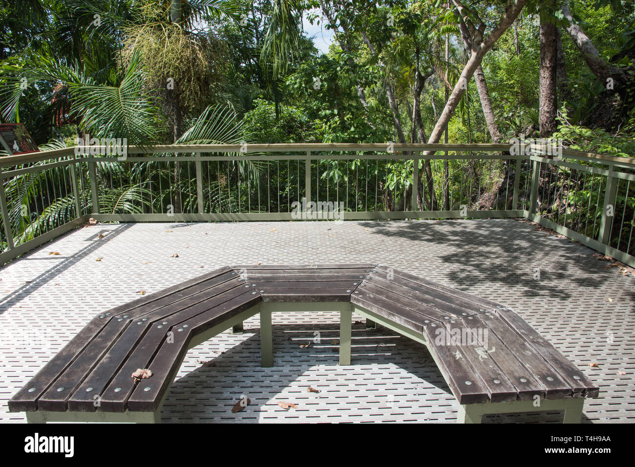 Elevated treetop lookout with semi-circle in the Monsoon Forest at ...