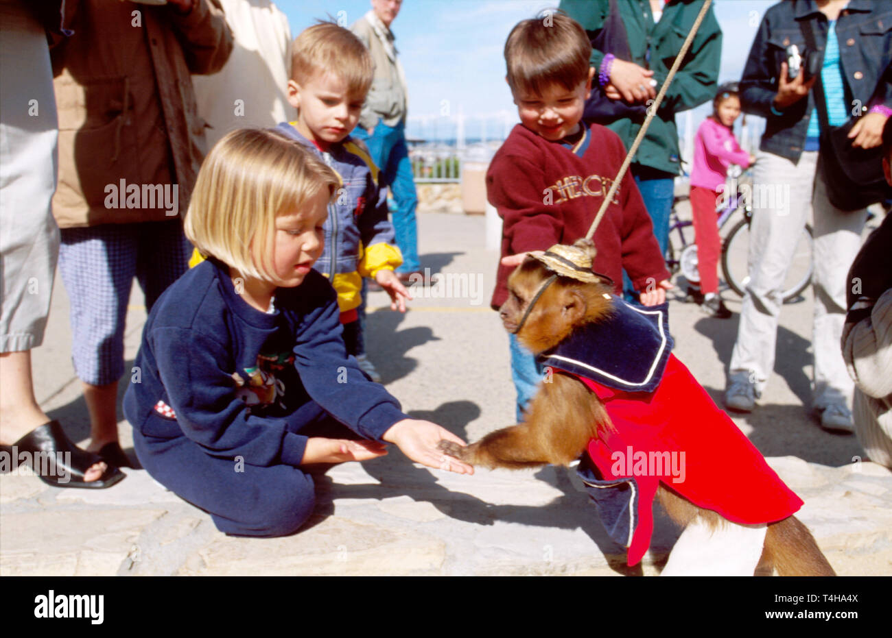 Monterey California,Fishermans Wharf organ grinder monkey monkeys,CA035 ...