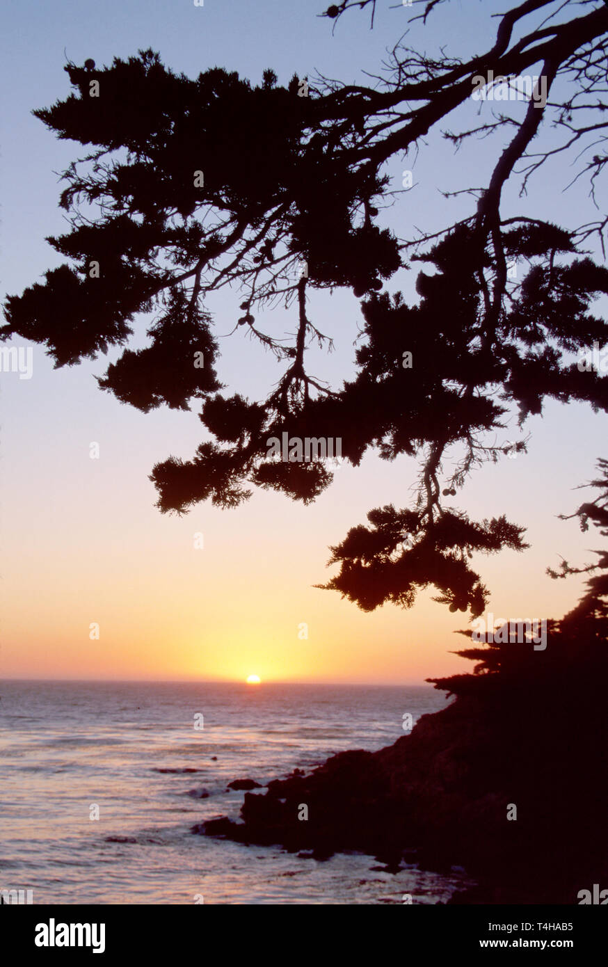 Monterey California,Peninsula Pebble beach beaches,sand,surf,17 Mile ...