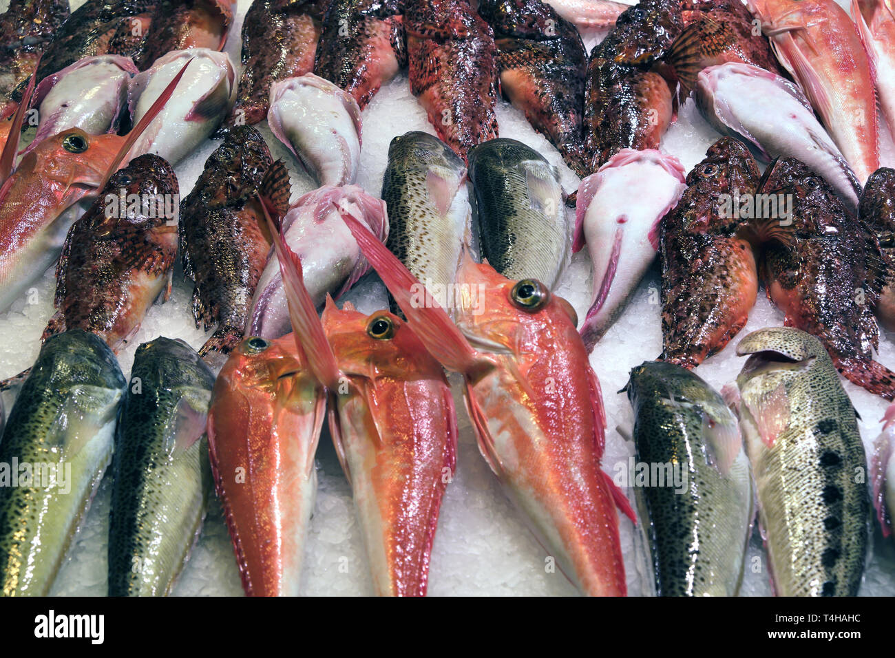 Fresh fish market stall display Palma Mallorca Spain Stock Photo - Alamy