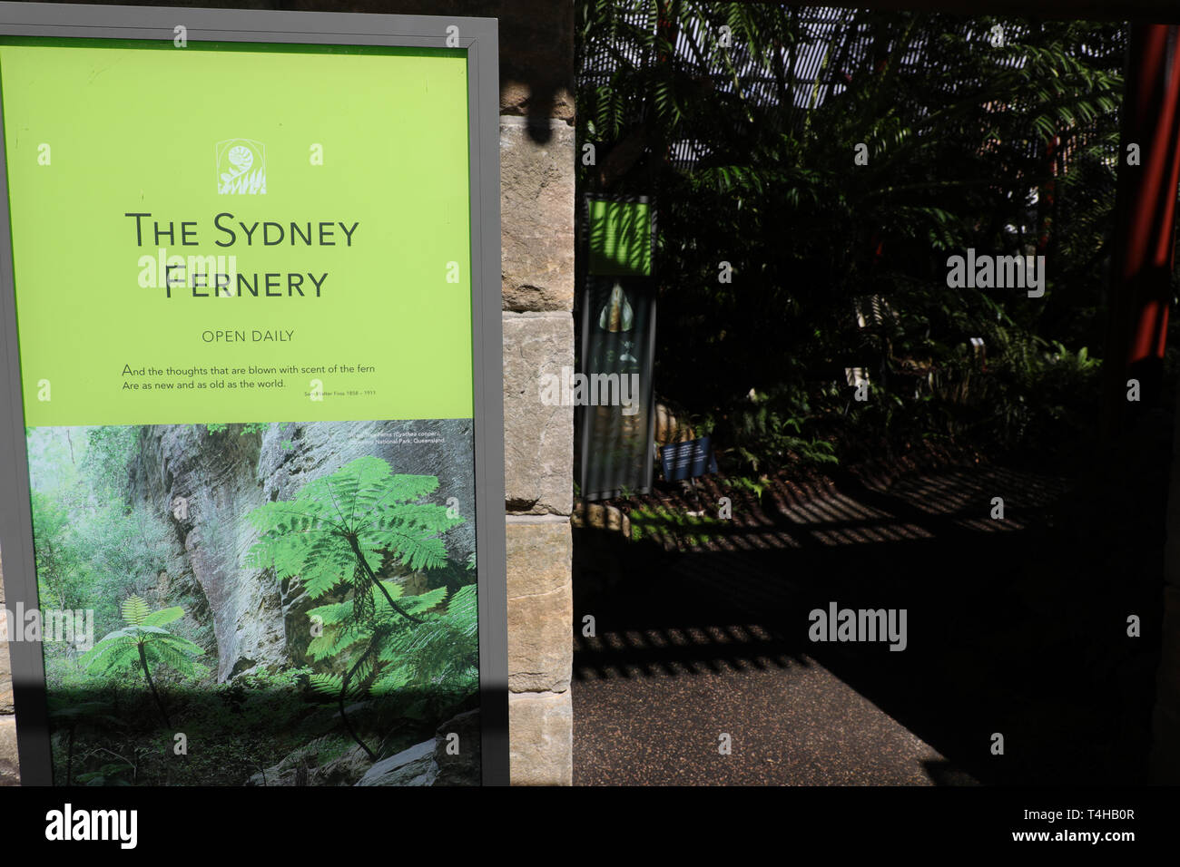 The sydney fernery hi-res stock photography and images - Alamy