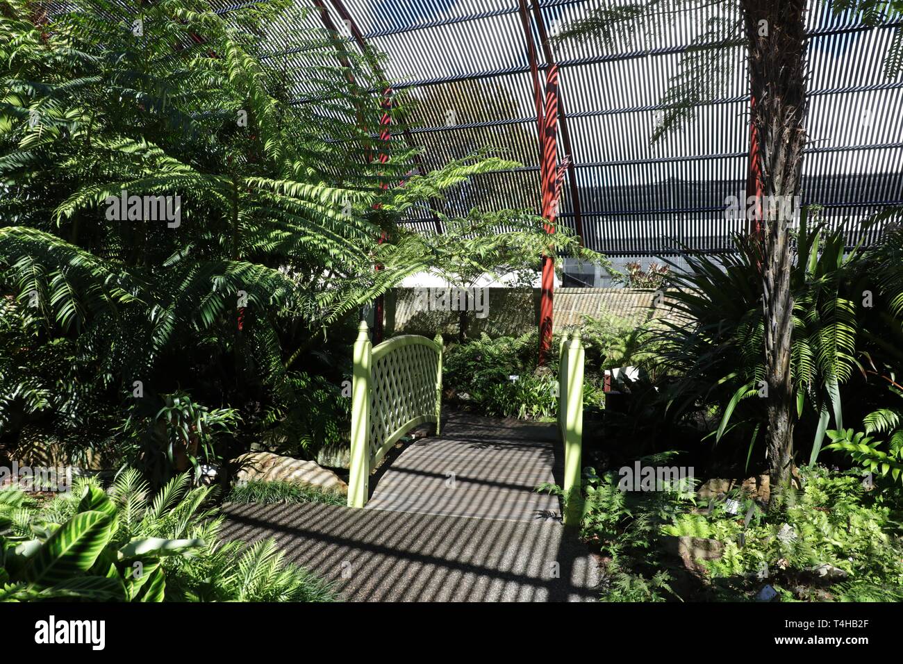 Sydney Fernery High Resolution Stock Photography and Images - Alamy