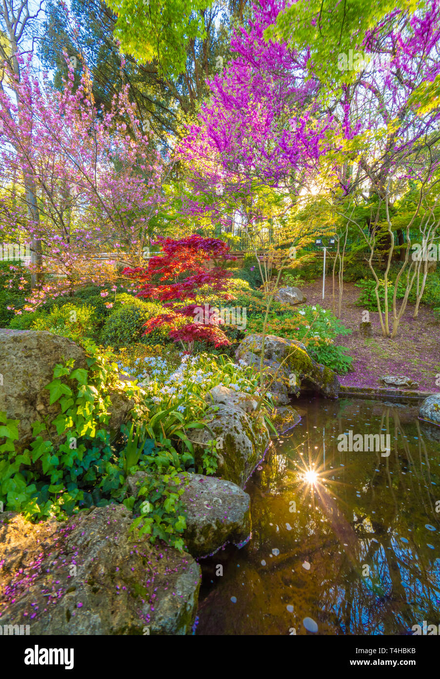 Rome (Italy) - The Botanical Garden in Trastevere is a lush university ...
