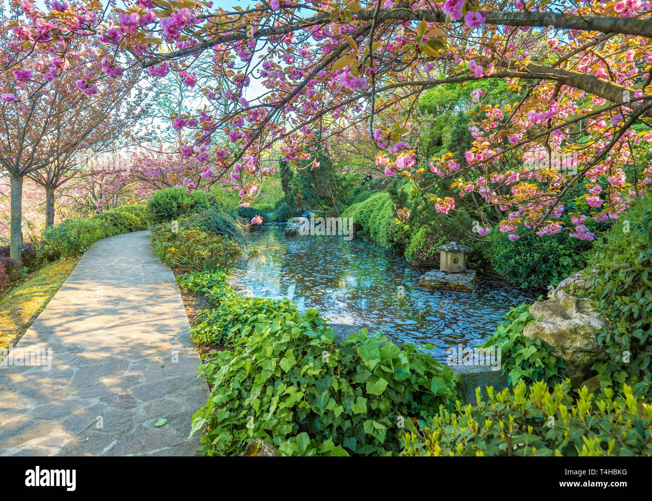 Rome (Italy) - The Botanical Garden in Trastevere is a lush university ...