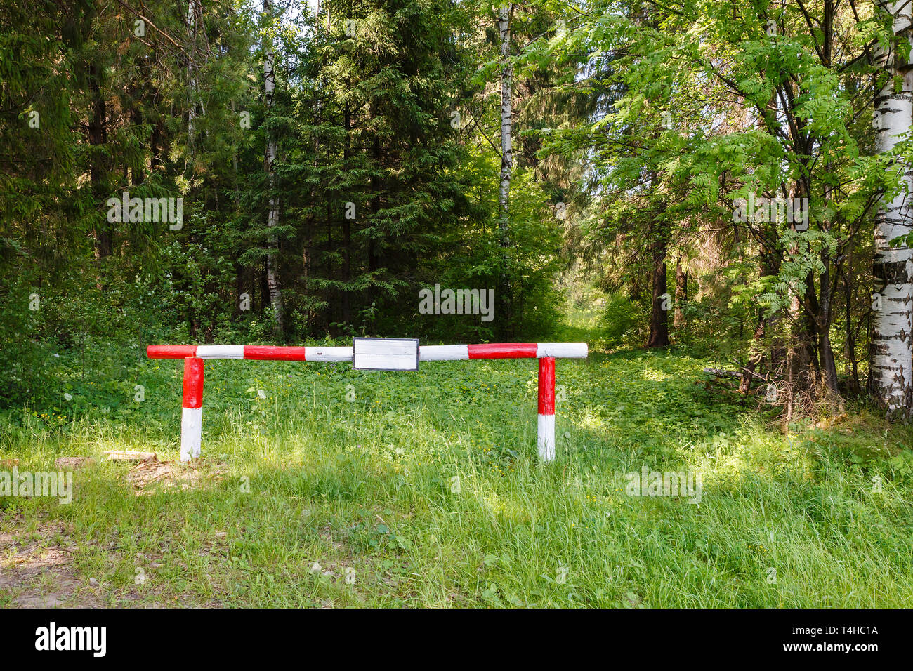 Red-white barrier in the forrest. The ban on entry into the forest ...