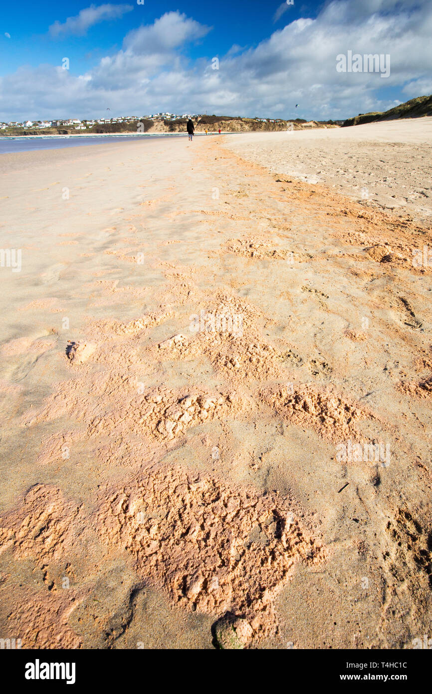 Pink scum on Porthkidney beach in Lelant, Cornwall, UK Stock Photo - Alamy