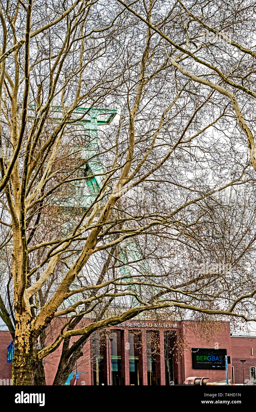 Deutsche Bergbau-Museum Bochum (DBM); German Mining Museum in Bochum ...