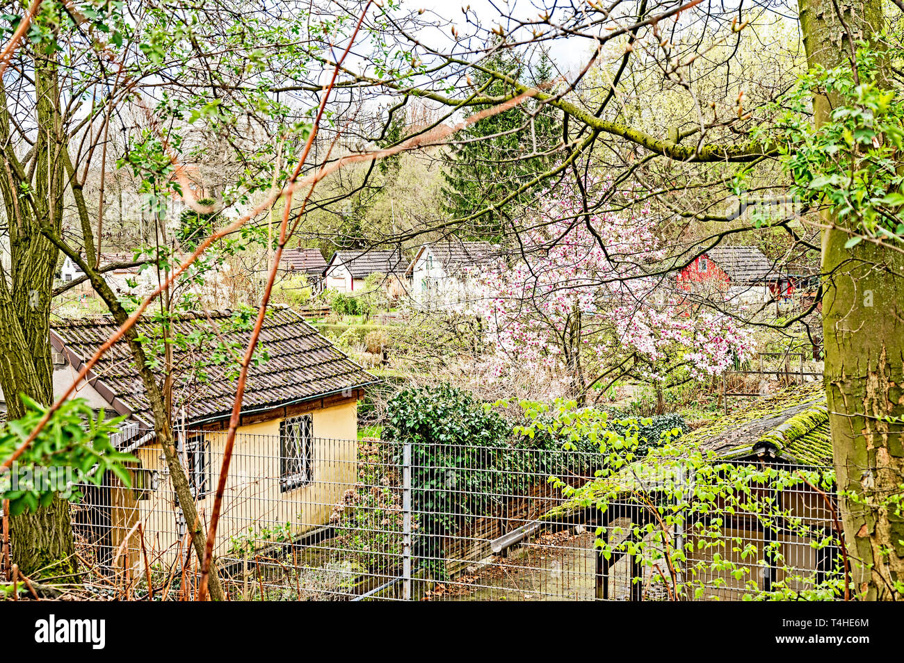 Schrebergarten hi-res stock photography and images - Alamy