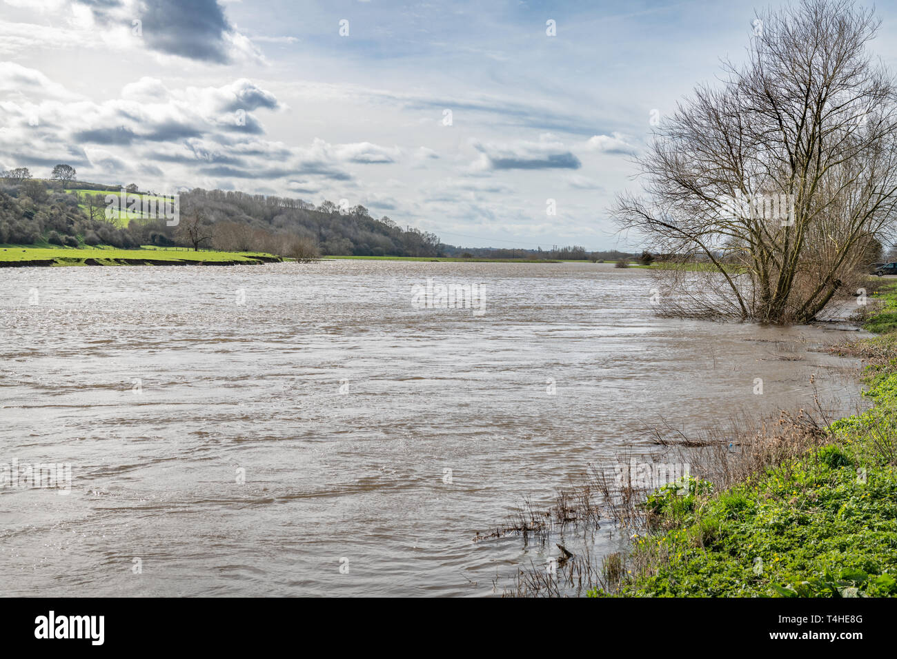 River Trent, Lowdham, Nottingham Stock Photo - Alamy