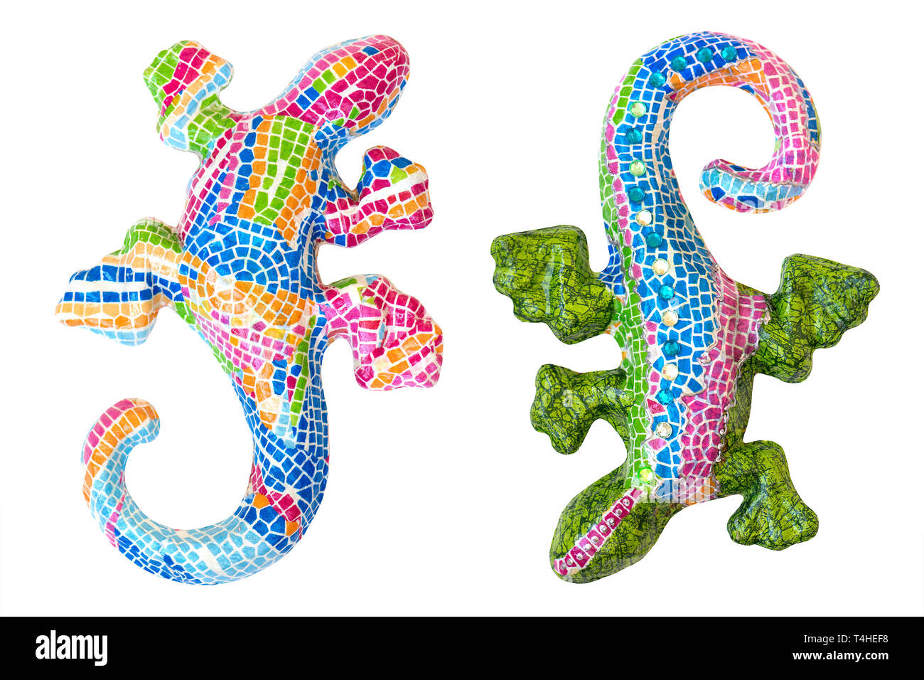 Lizard horizontal Cut Out Stock Images & Pictures - Alamy