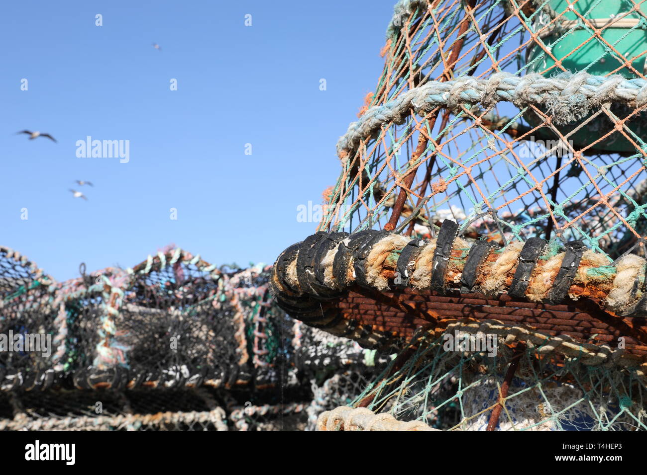 Lobster Cages on Smeatons Pier St Ives Cornwall Stock Photo - Alamy