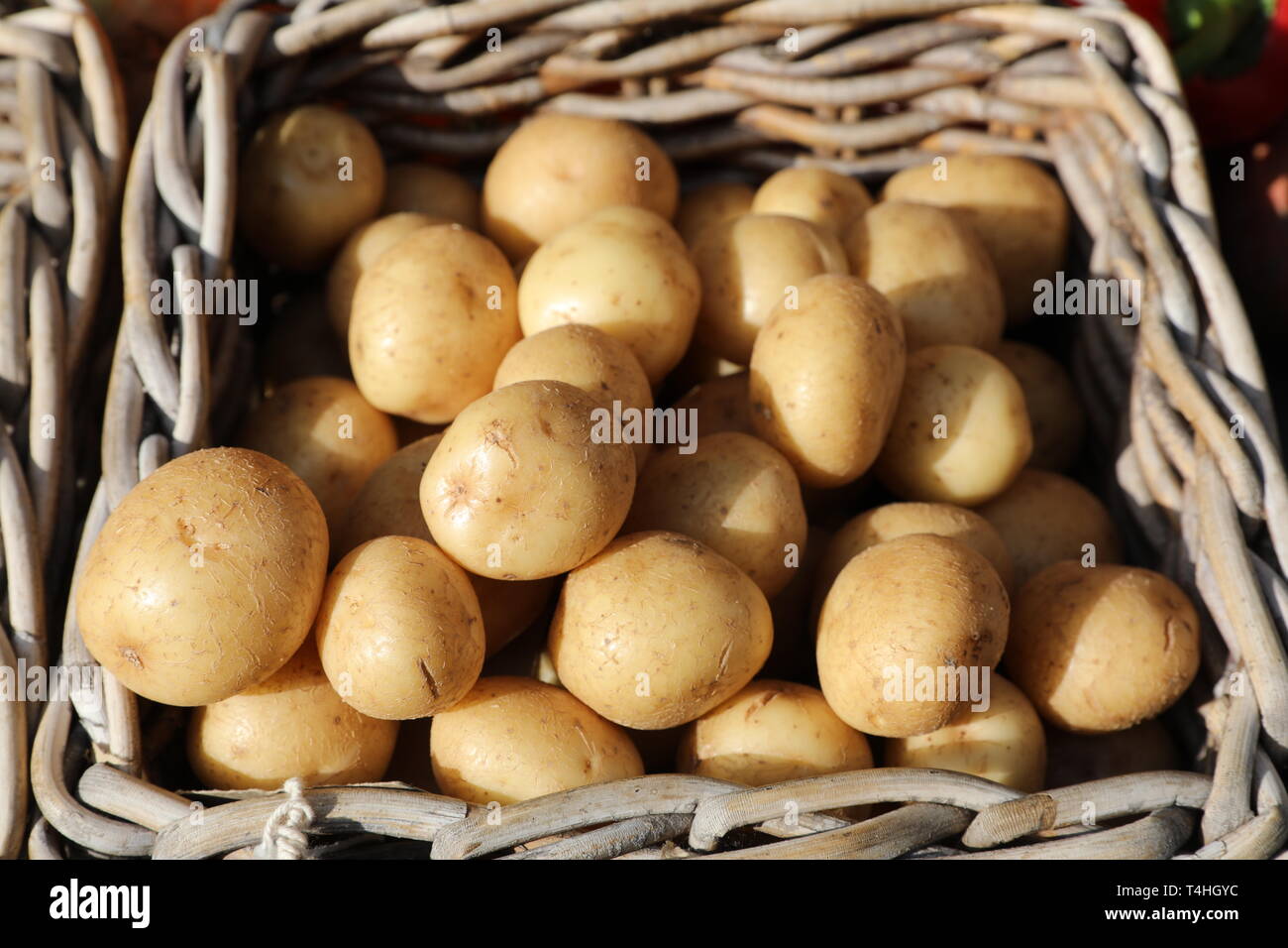 Five potatoes hi-res stock photography and images - Alamy