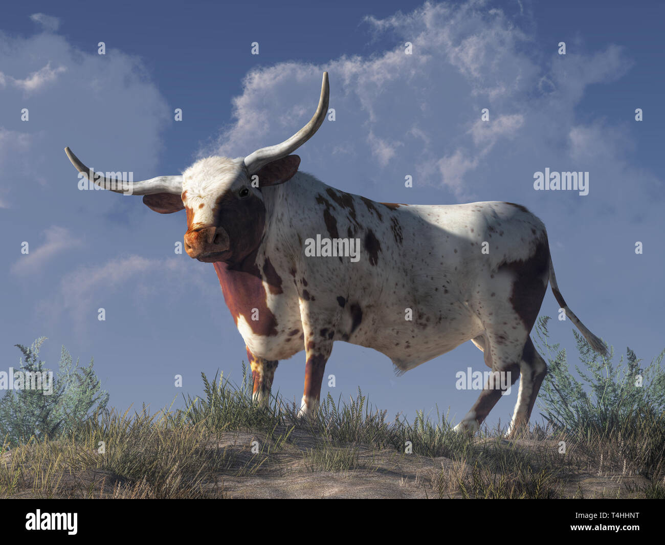 White spots stands hi-res stock photography and images - Alamy