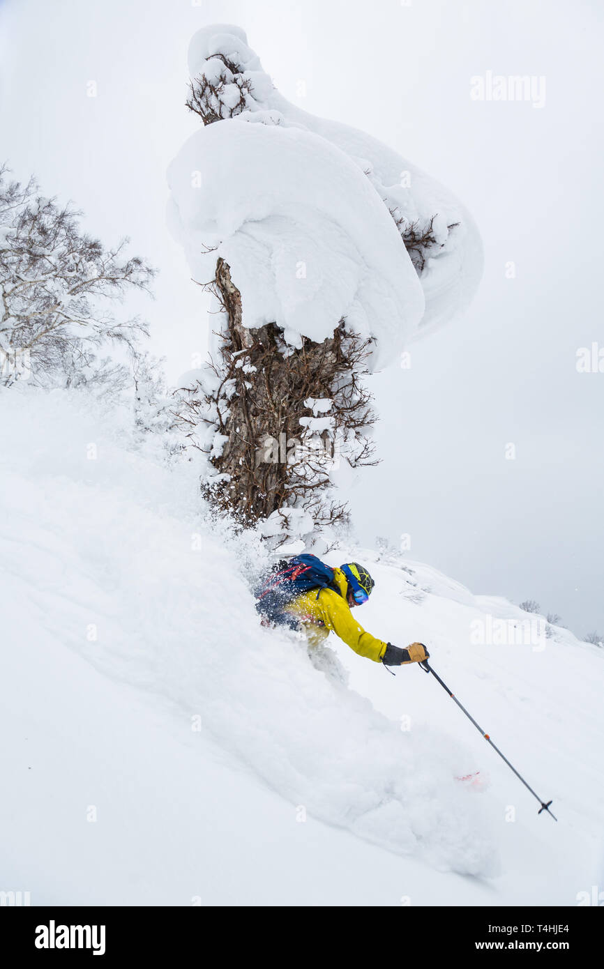Huge pile dead trees hi-res stock photography and images - Alamy