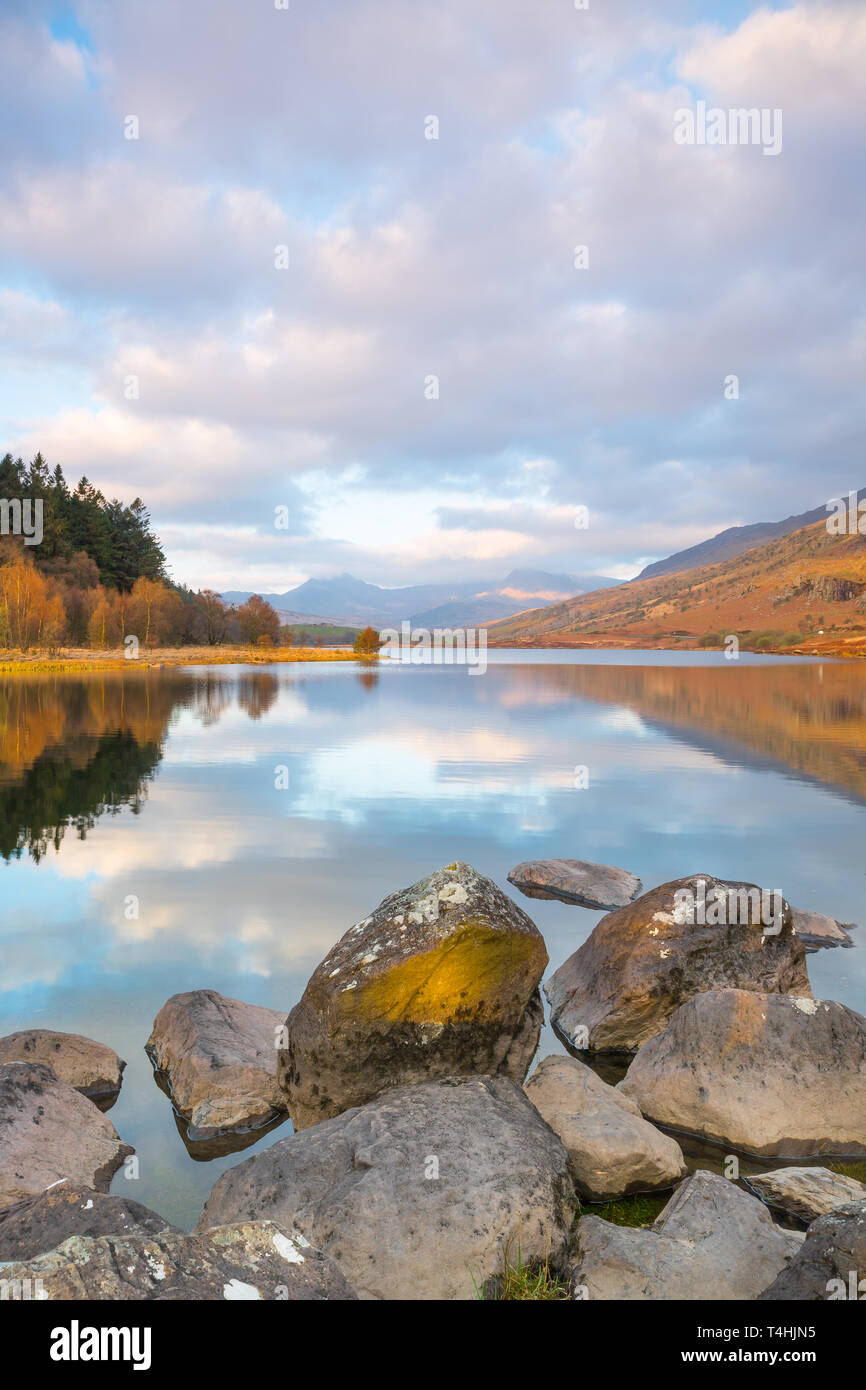 Parc y llyn hi-res stock photography and images - Alamy