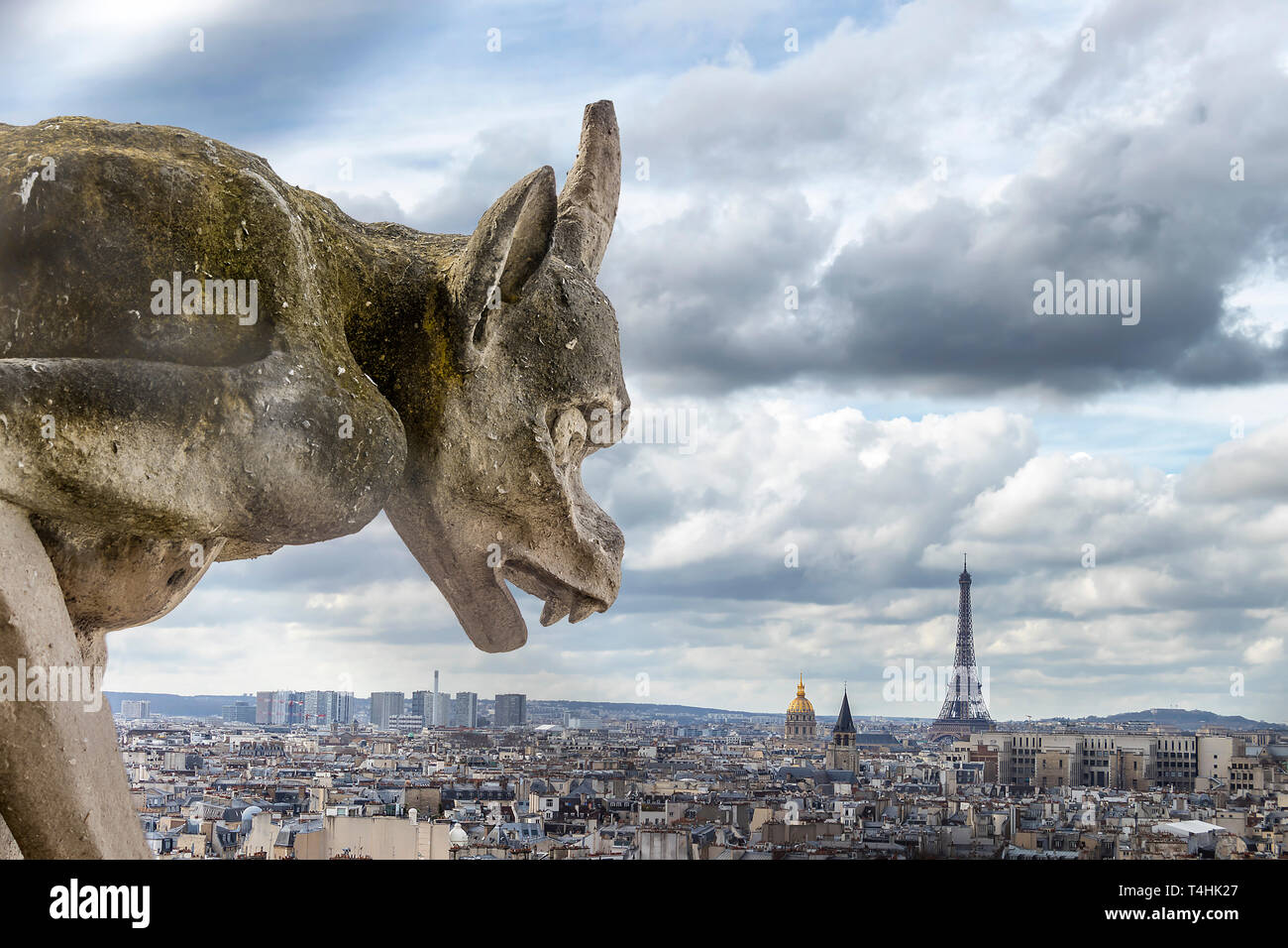Gargoyle stryge demon notre dame hi-res stock photography and images ...