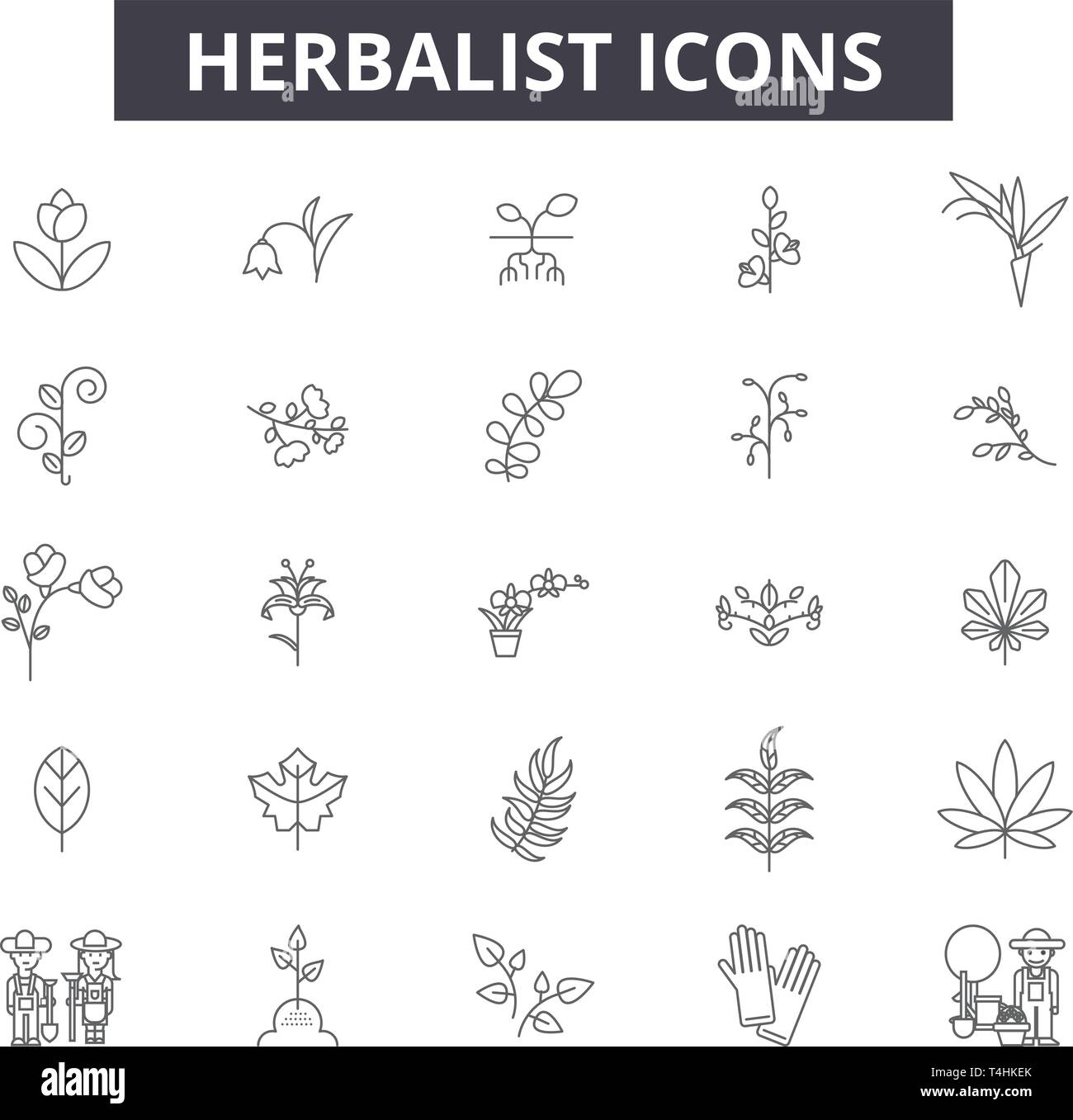 Medical herbalist Stock Vector Images - Alamy