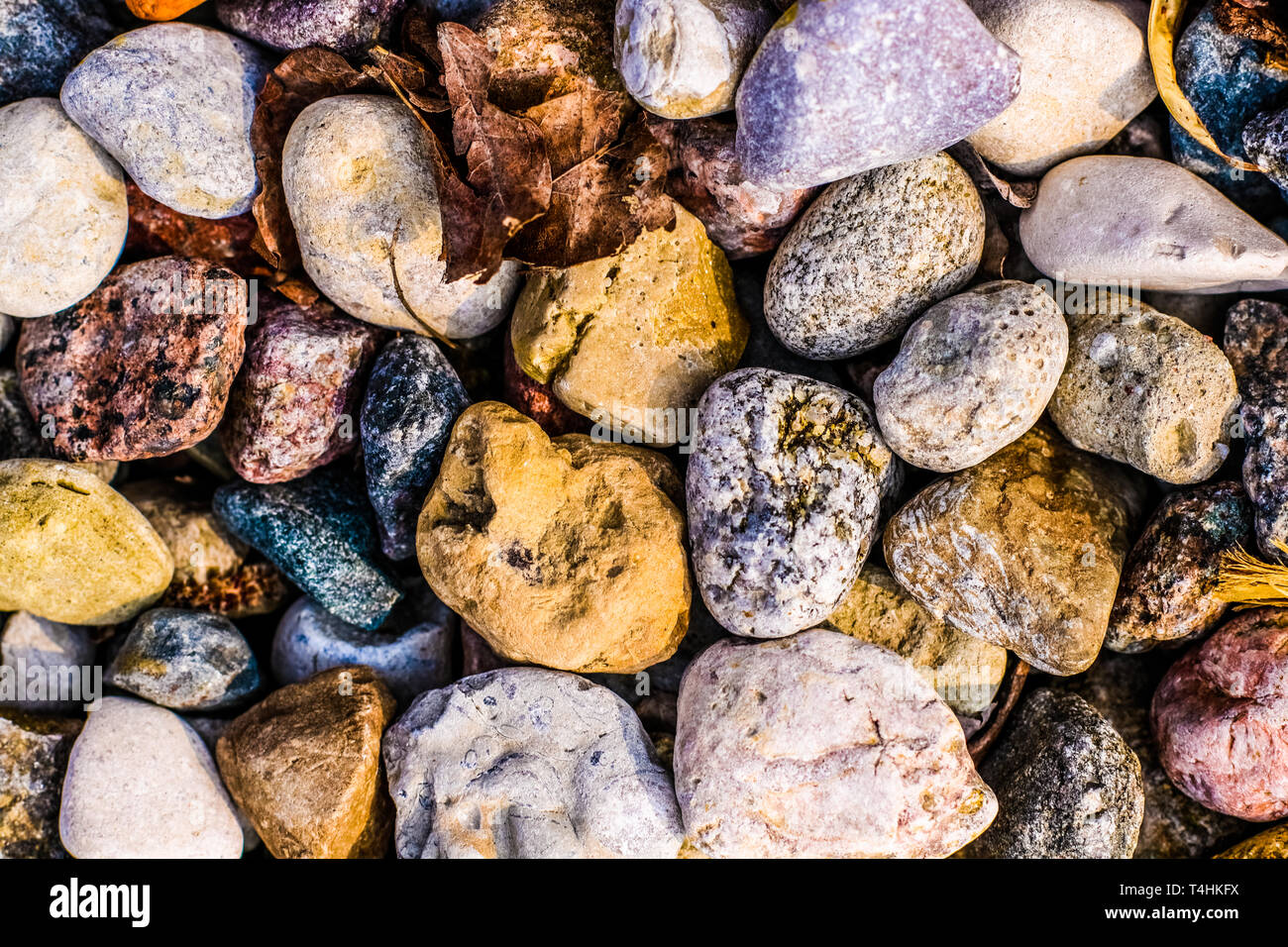 Landscape architecture, interior design and nature elements concept ...