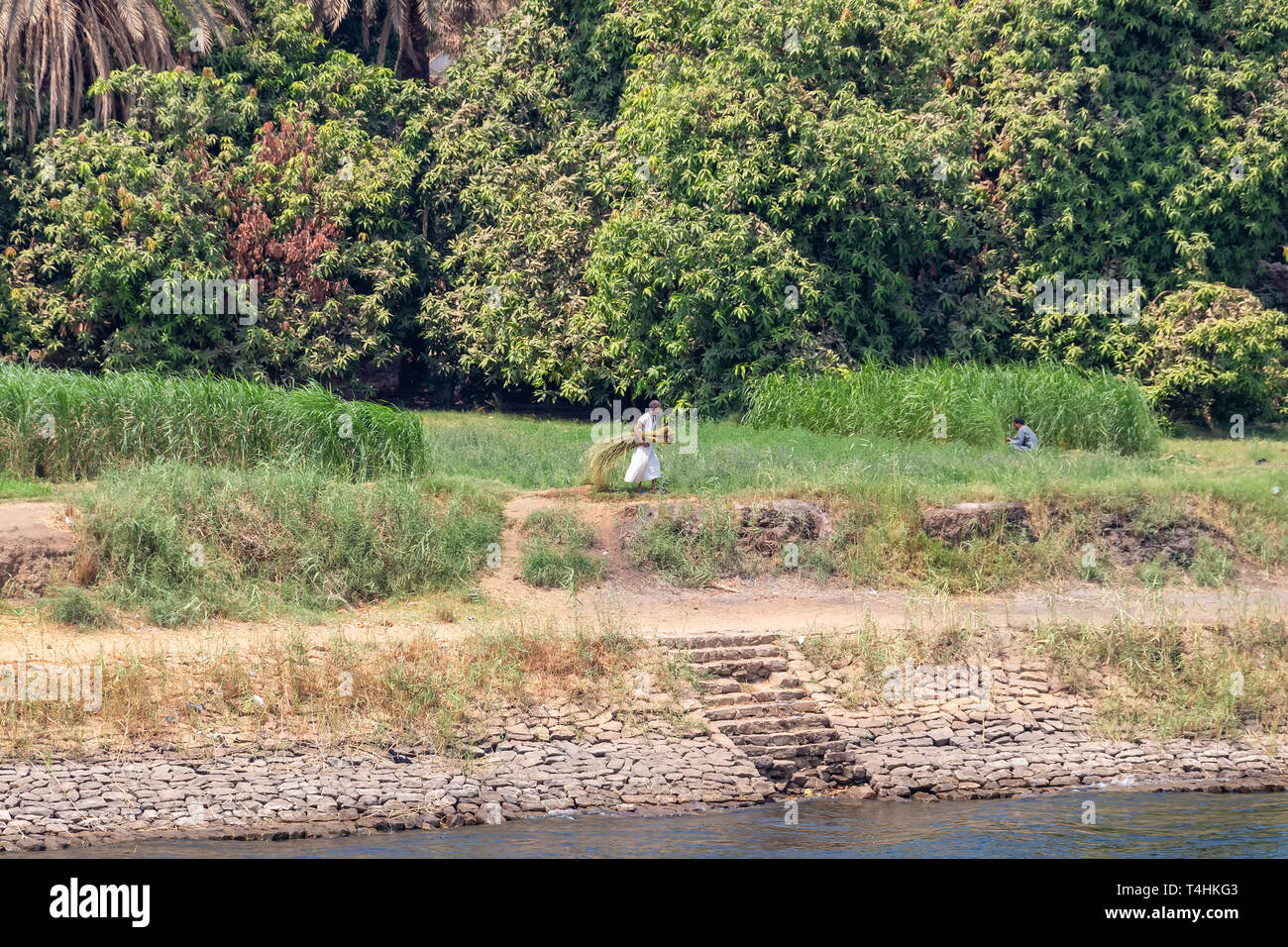 Aswan, Egypt - September 13, 2018: Egyptian Nubian farmer walking in ...