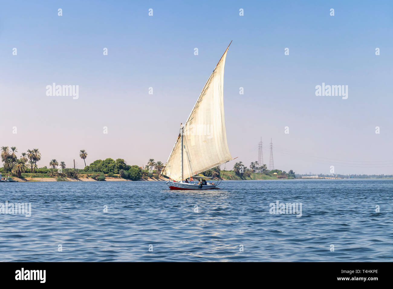 Faluca boat sailing in Nile river Stock Photo - Alamy