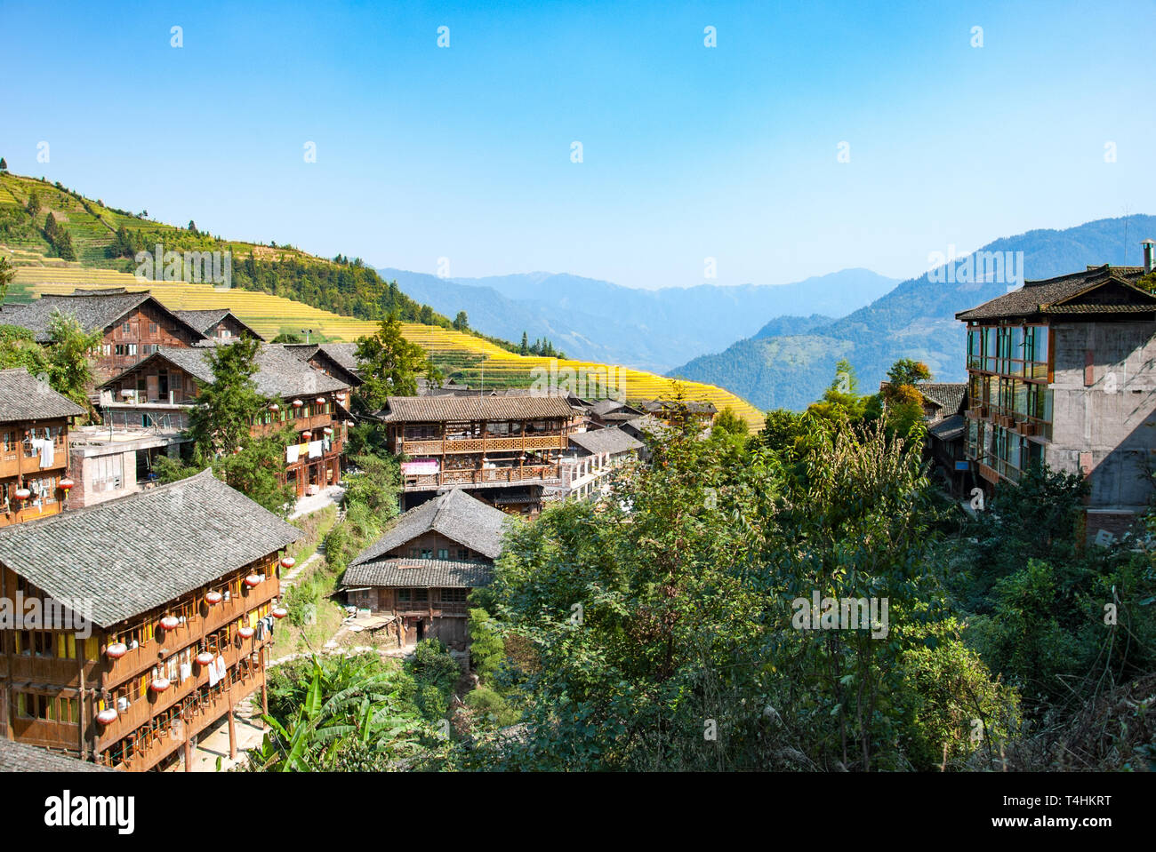 Longji rice terrace hi-res stock photography and images - Alamy
