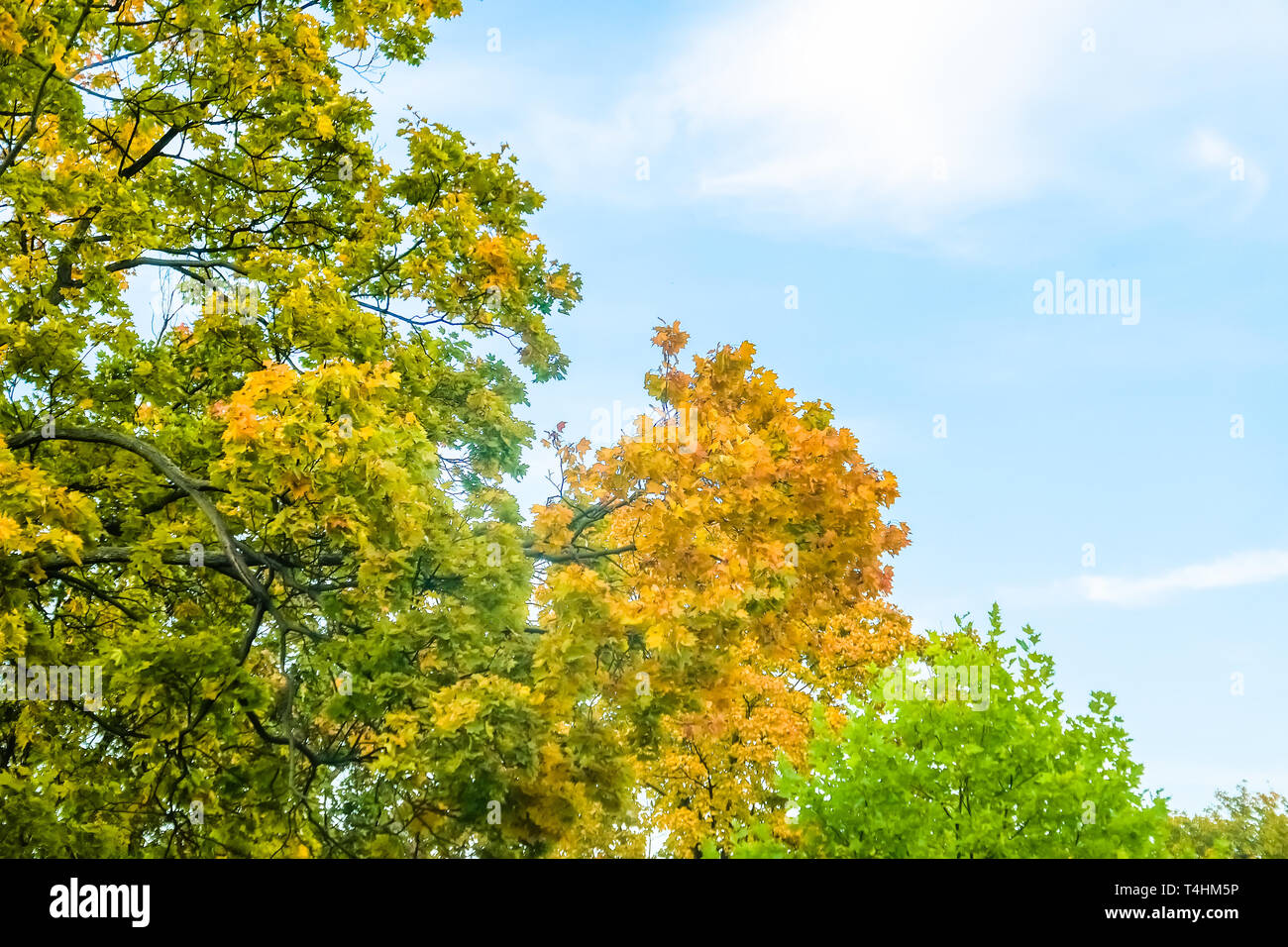Fall beauty, weather and seasons concept - Autumn nature scene ...