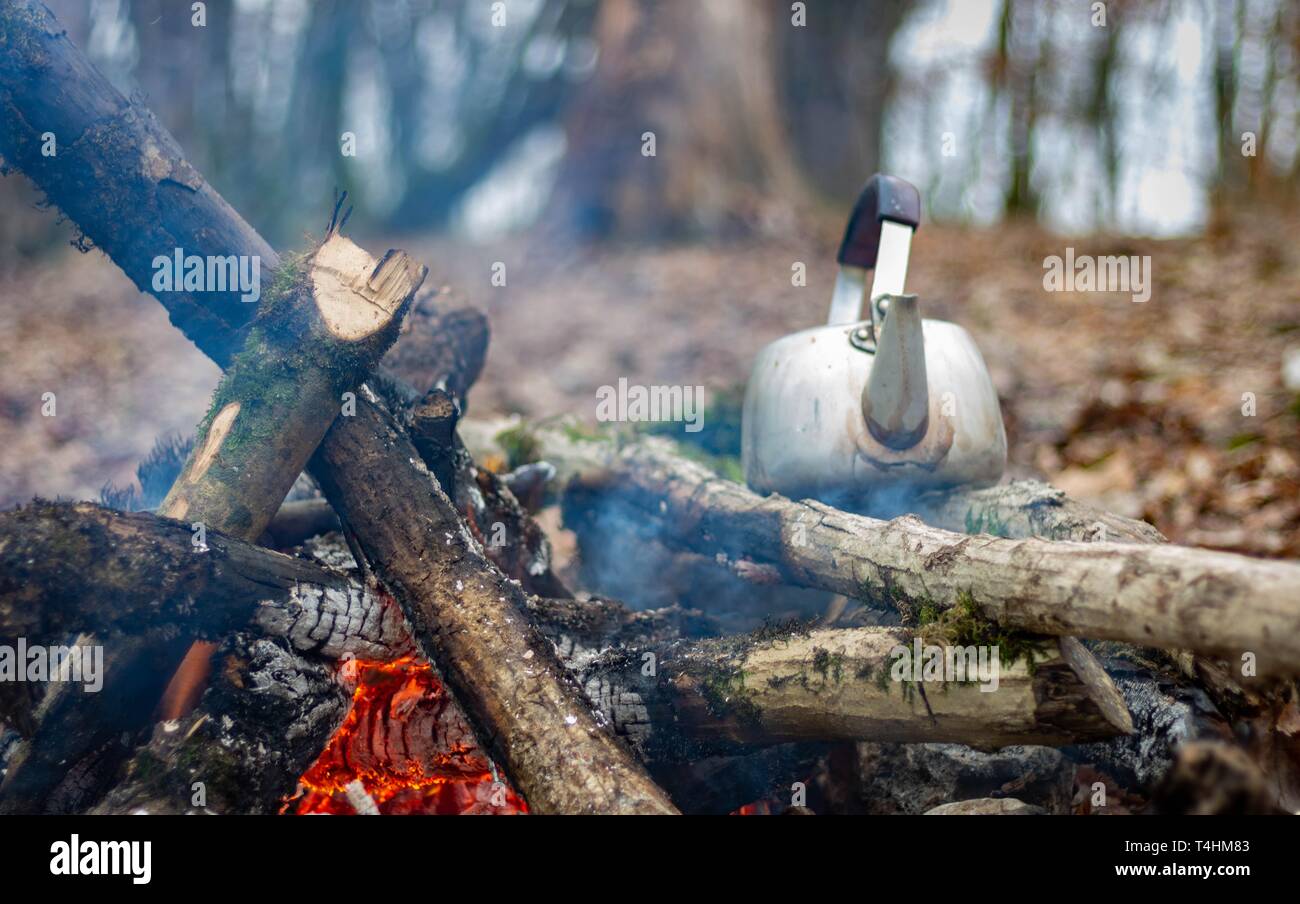 drink tea in cold jungle Stock Photo - Alamy