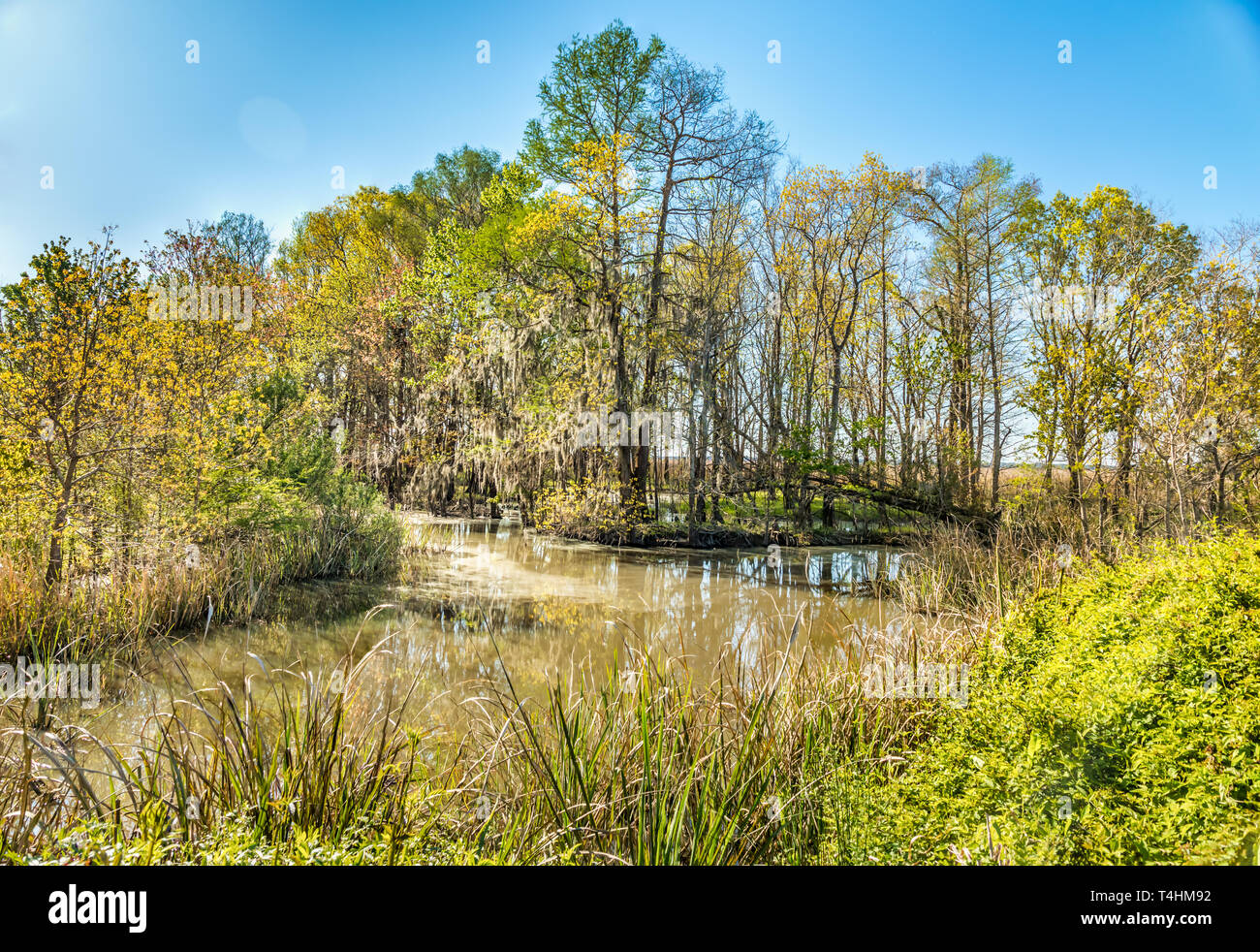 South georgia waterscape hi-res stock photography and images - Alamy