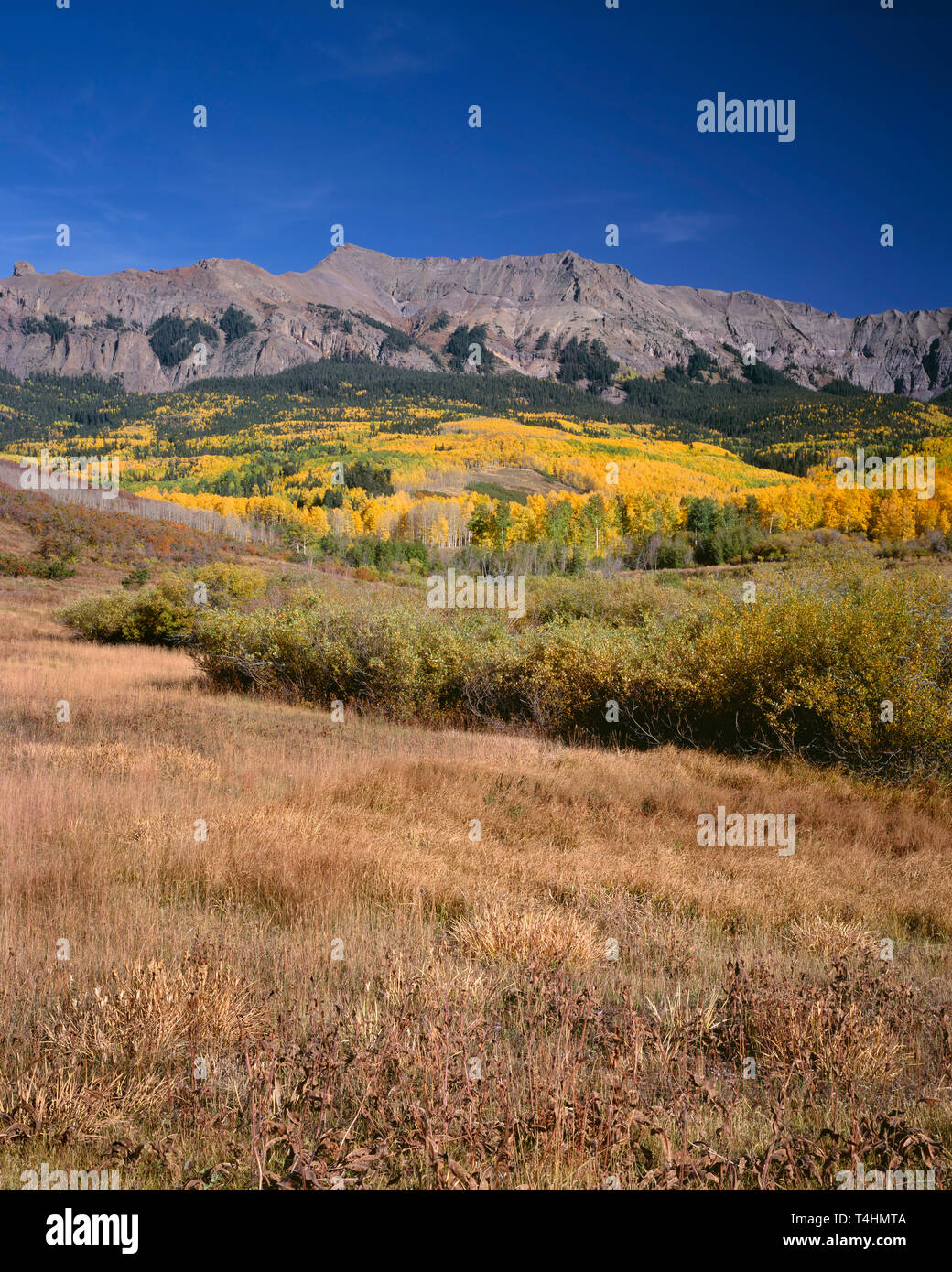 USA, Colorado, Uncompahgre National Forest, The Sneffels Range and ...
