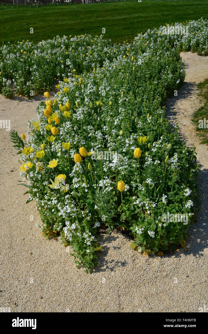 Flower isle hi-res stock photography and images - Alamy