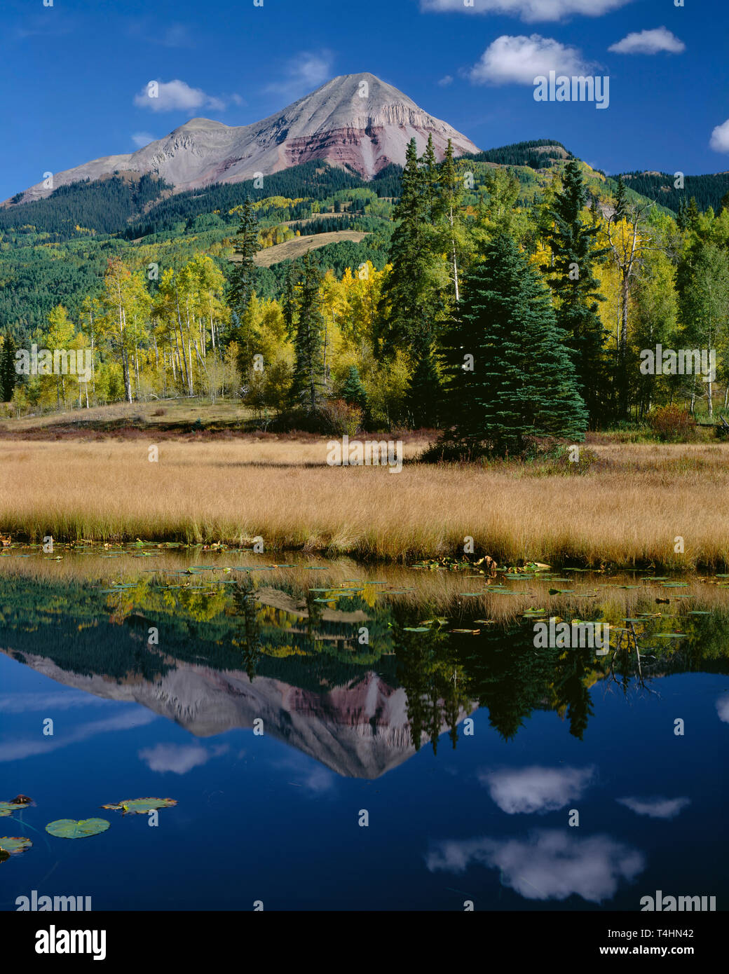 USA, Colorado, San Juan National Forest, Engineer Mountain reflects in ...