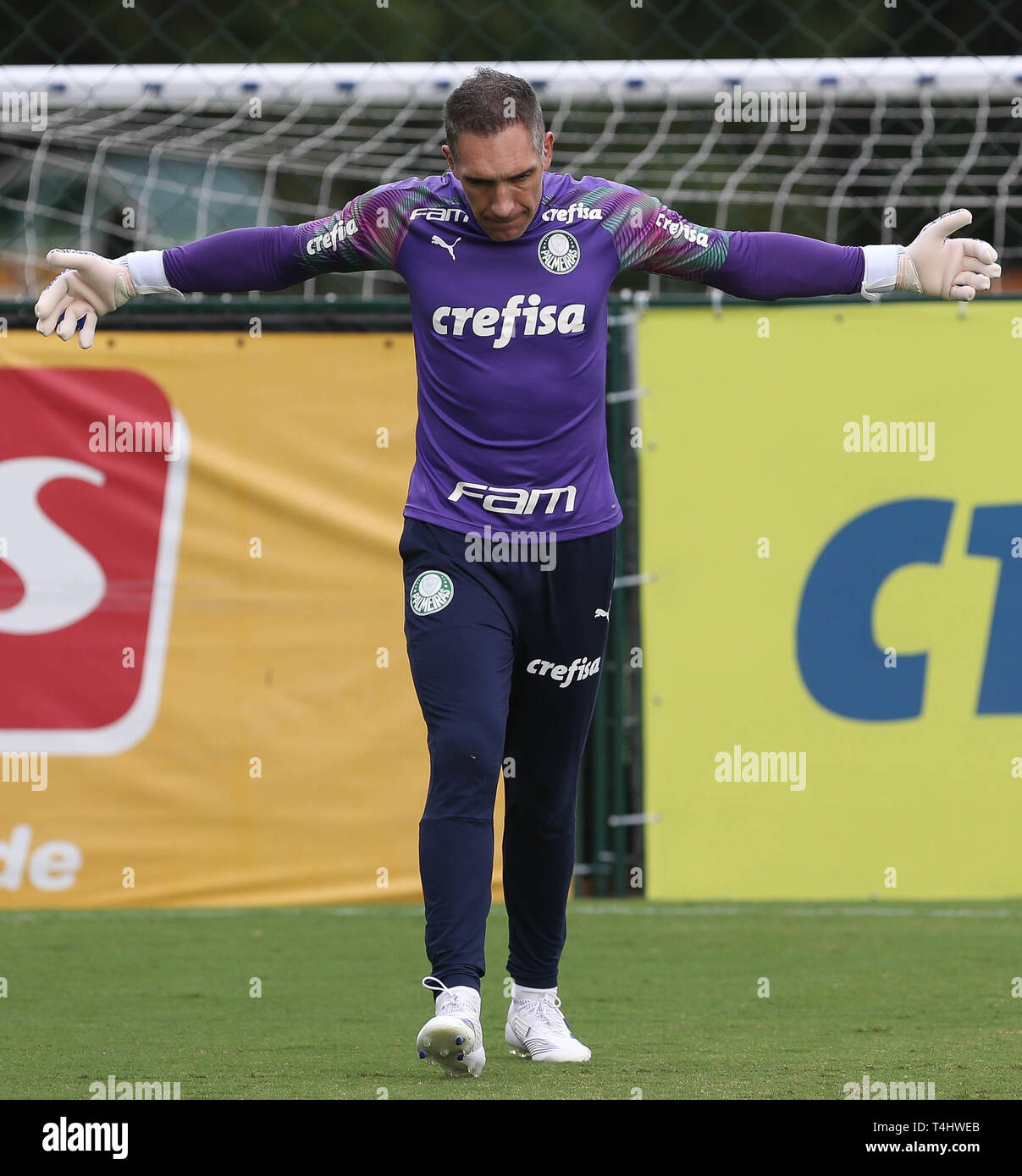 SÃO PAULO, SP - 16.04.2019: TREINO DO PALMEIRAS - Goalkeeper Fernando ...
